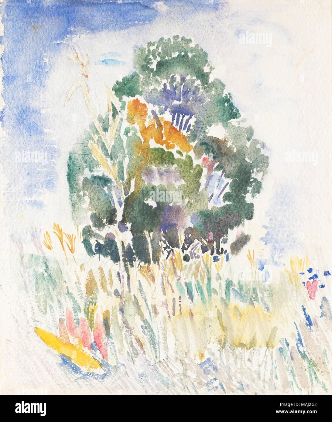 . English: The Tree by John Marin, 1917 Stock Photo - Alamy