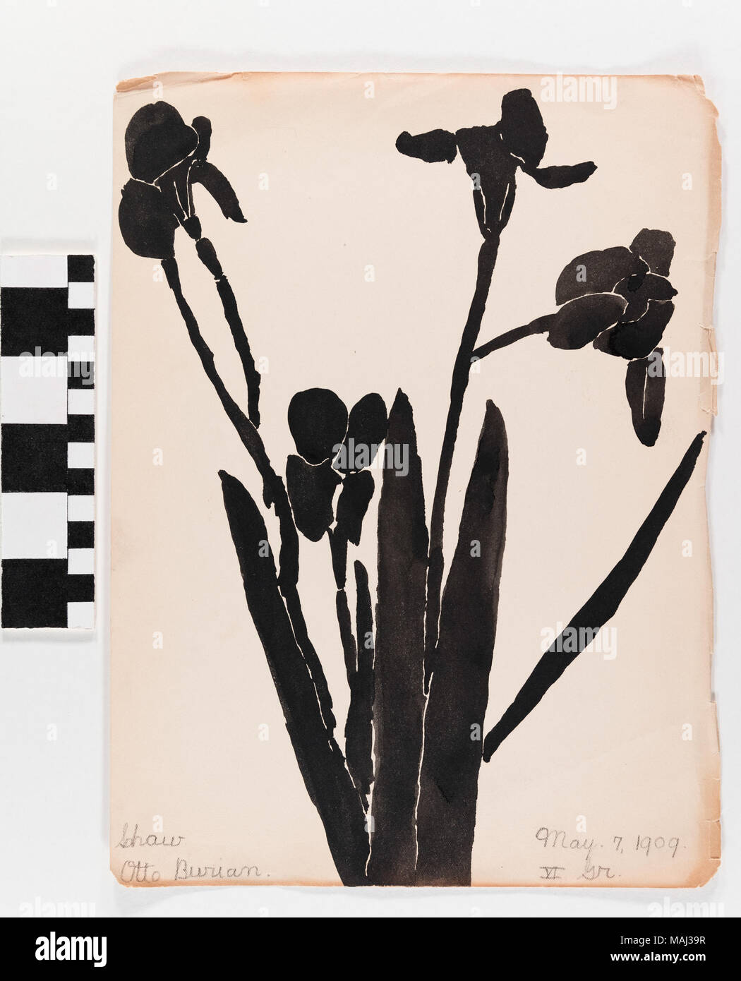 Stylized depiction of flowers hi-res stock photography and images - Alamy