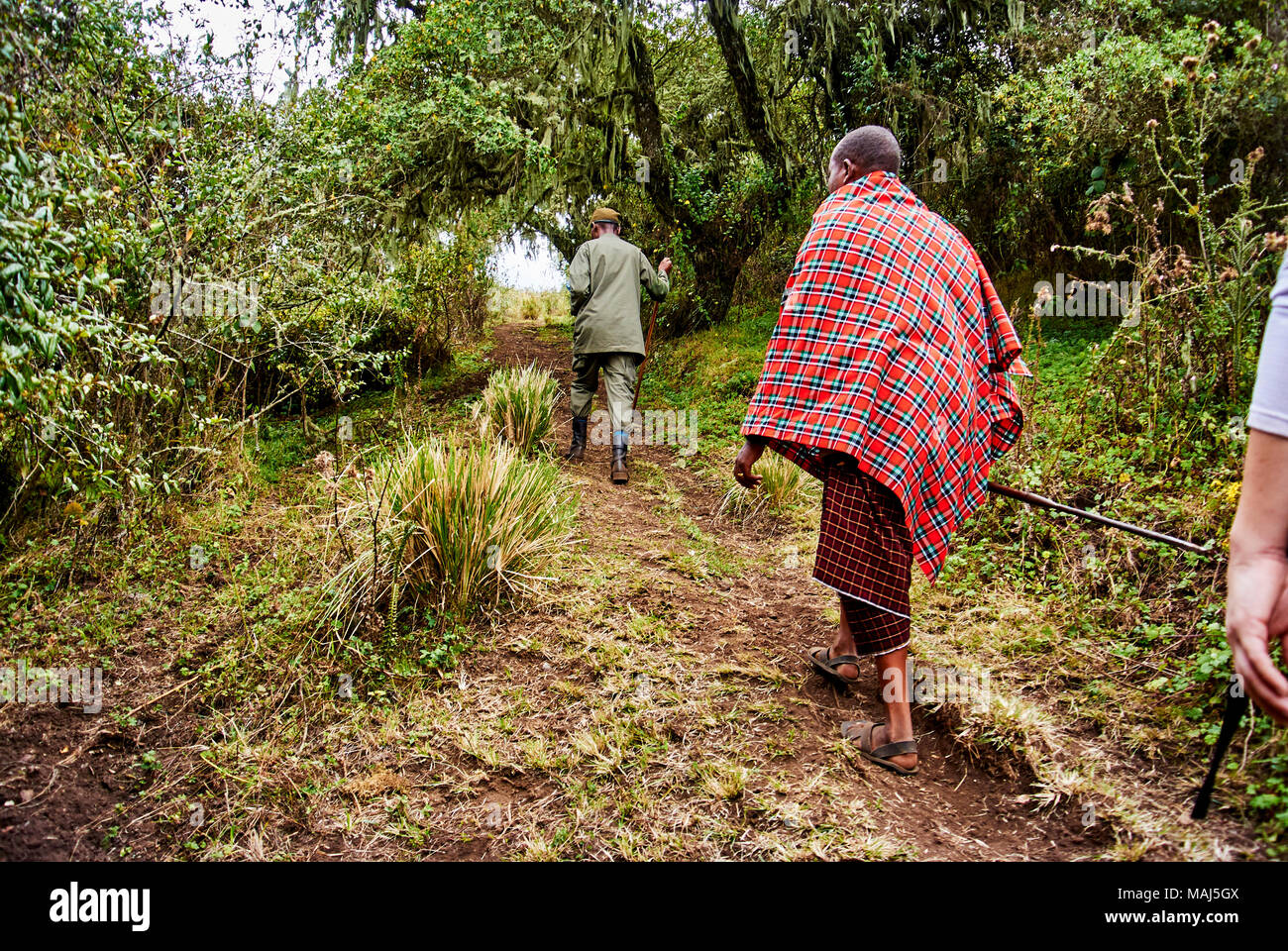 Hike in Olmoti Crater, near Munge River Ngorongoro Conservation Area ...