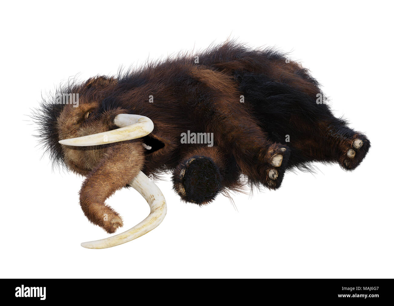 3D rendering of a woolly mammoth isolated on white background Stock ...