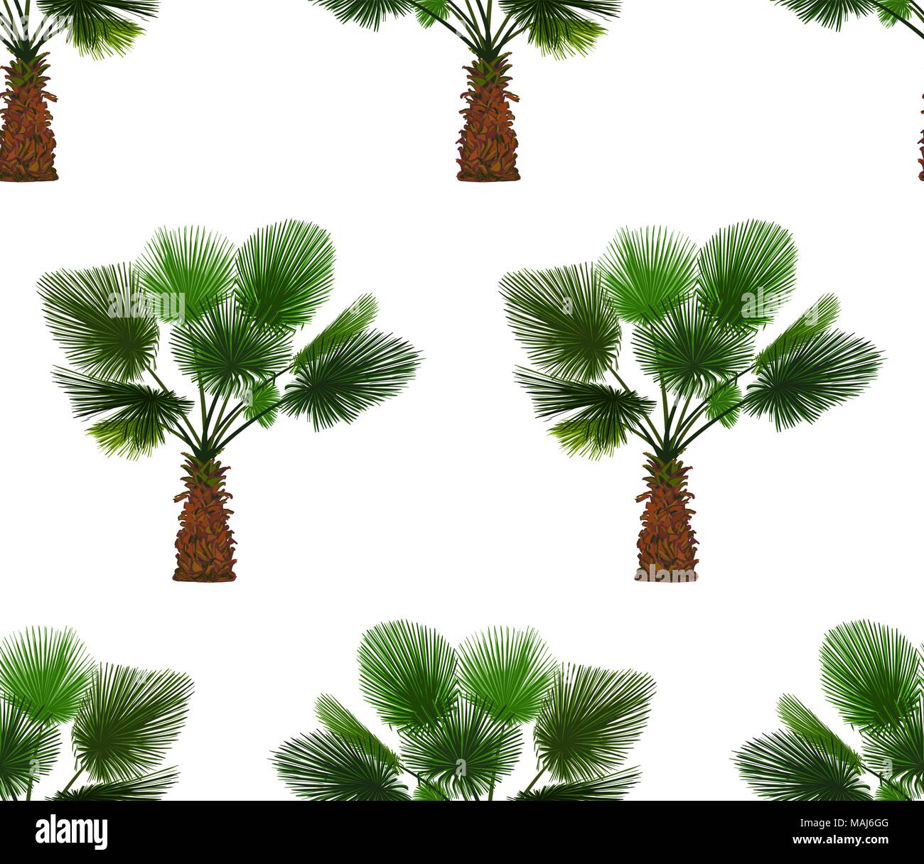 Date palm tree leaf texture Stock Vector Images - Alamy