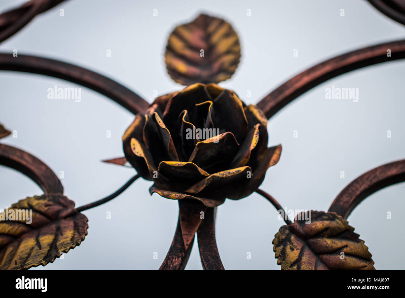 Details, structure and ornaments of forged iron gate. Decorative ...