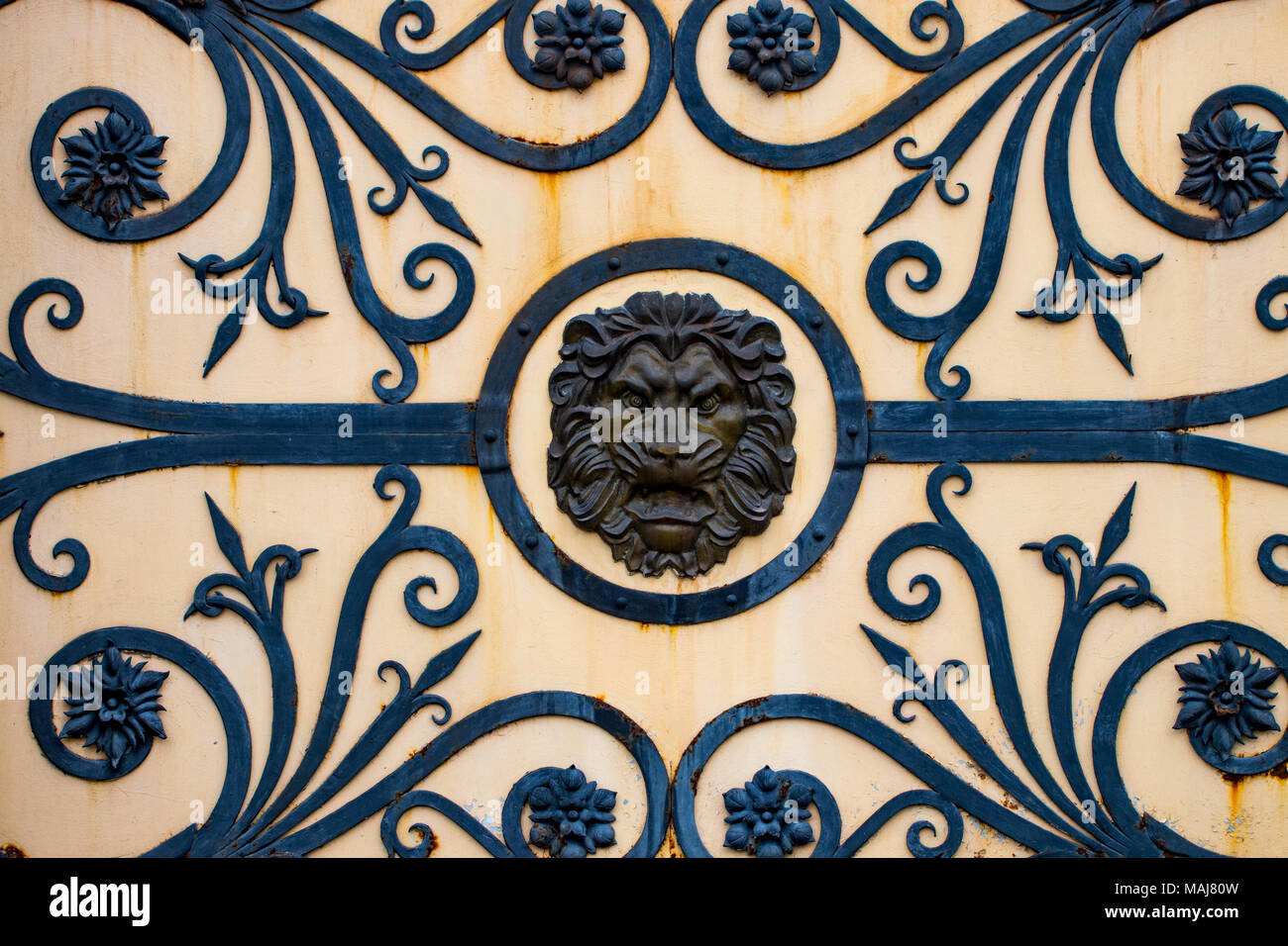 Details, structure and ornaments of forged iron gate. Decorative ...