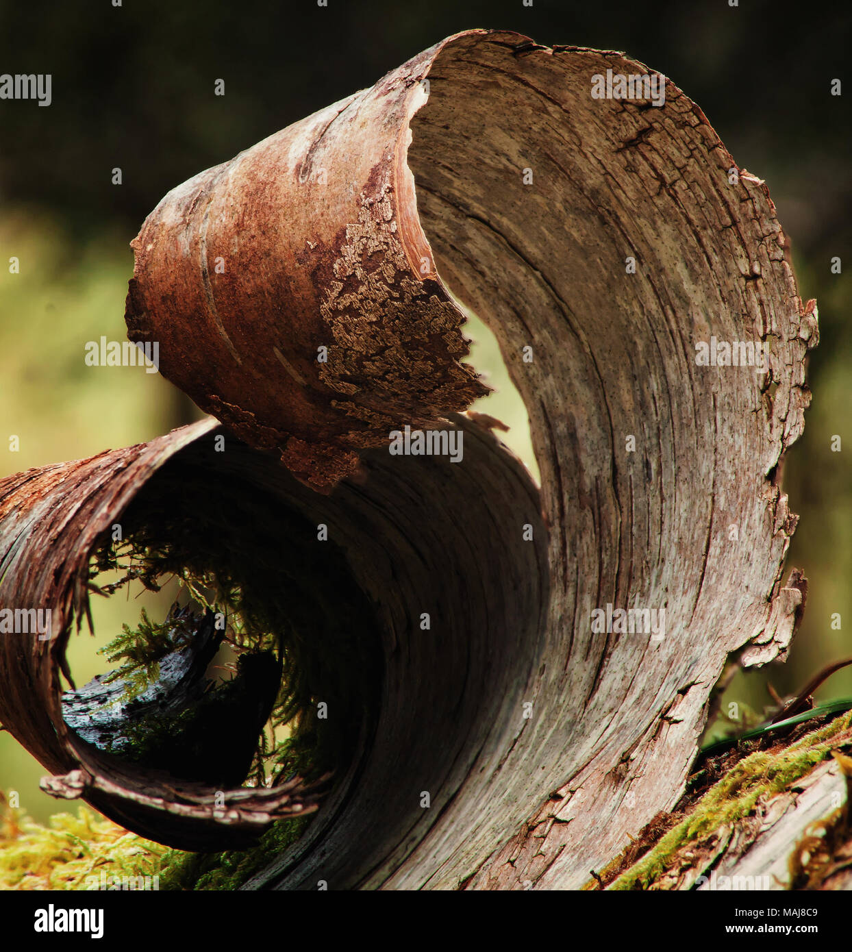 Abbeystead hi-res stock photography and images - Alamy