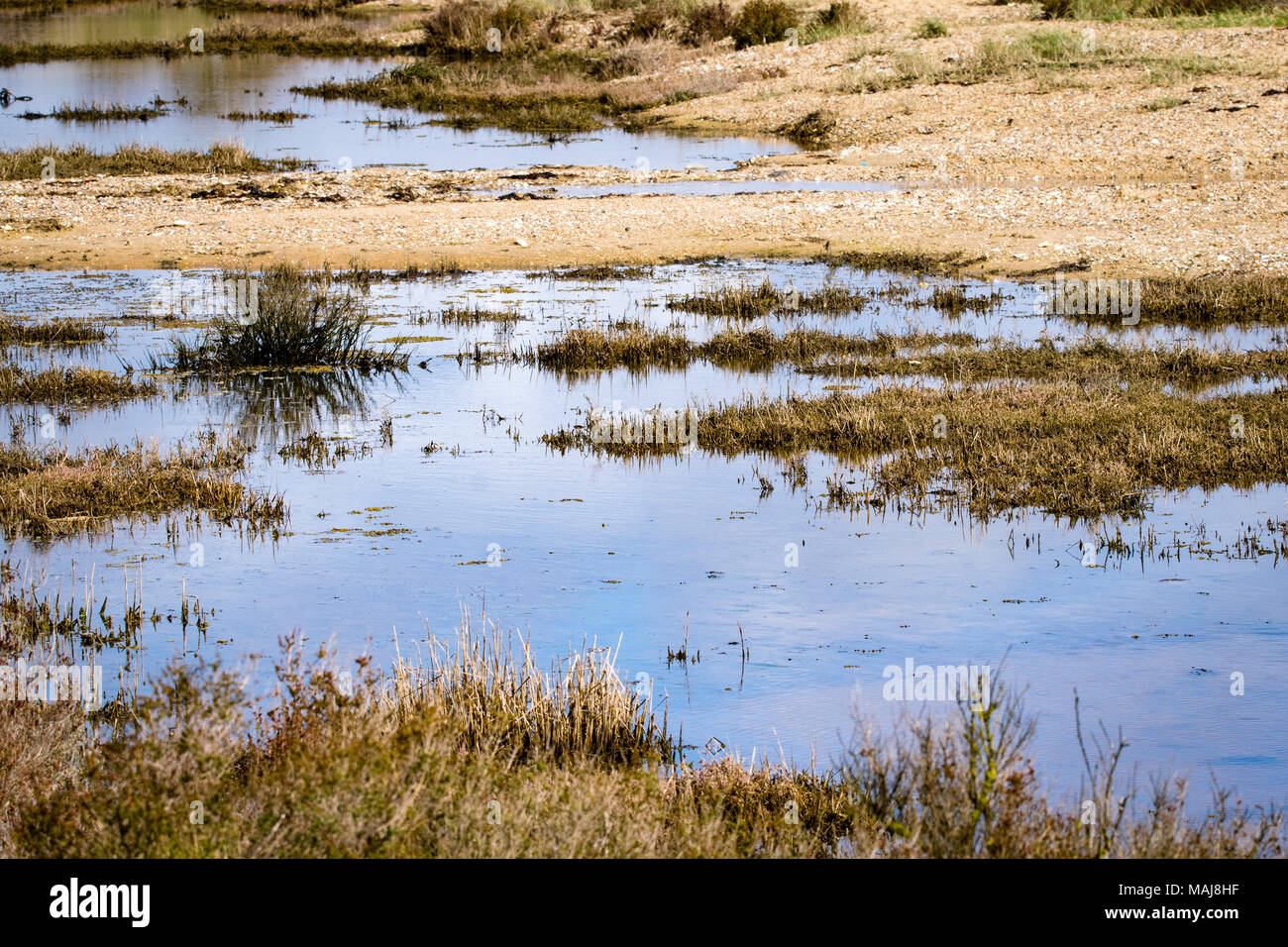 Reflection in coastal water ponds at the beach Stock Photo - Alamy