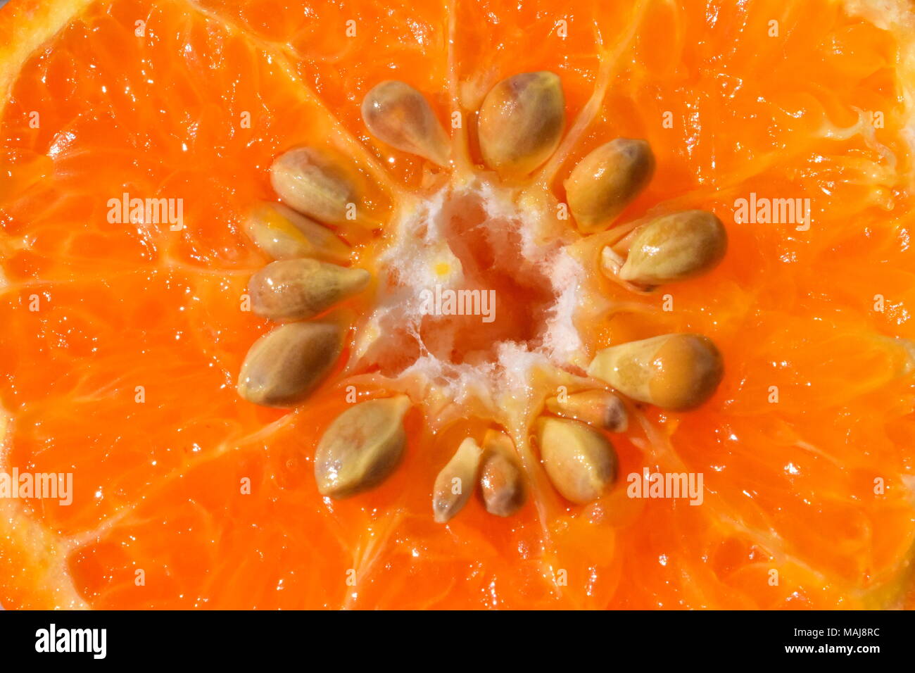 Orange cross section seeds hi-res stock photography and images - Alamy