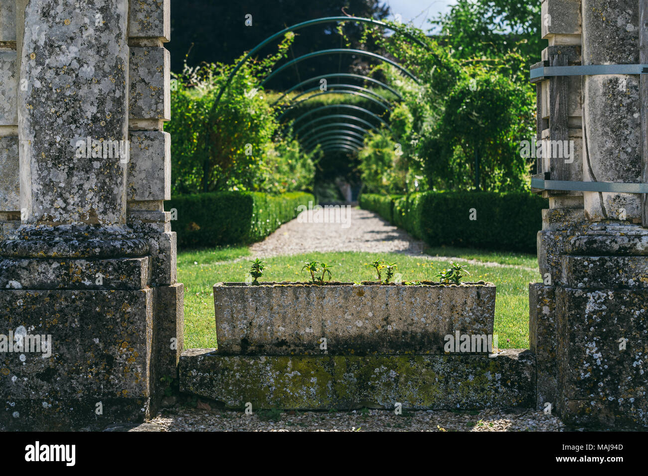 A well-kept old courtyard with a medieval monastery, clipped bushes ...