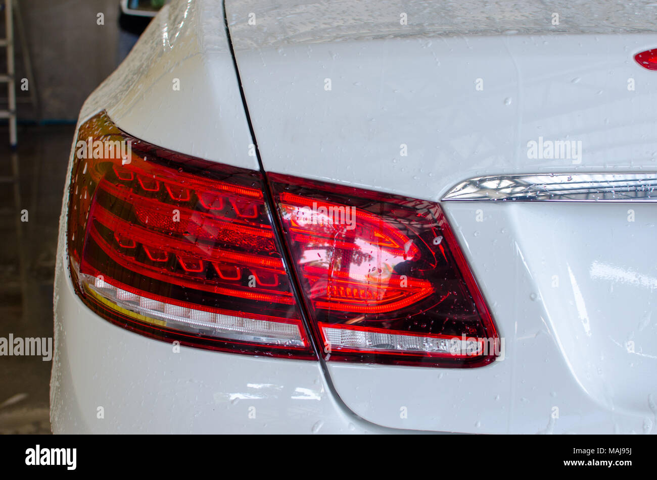 Luxurious tail hi-res stock photography and images - Alamy