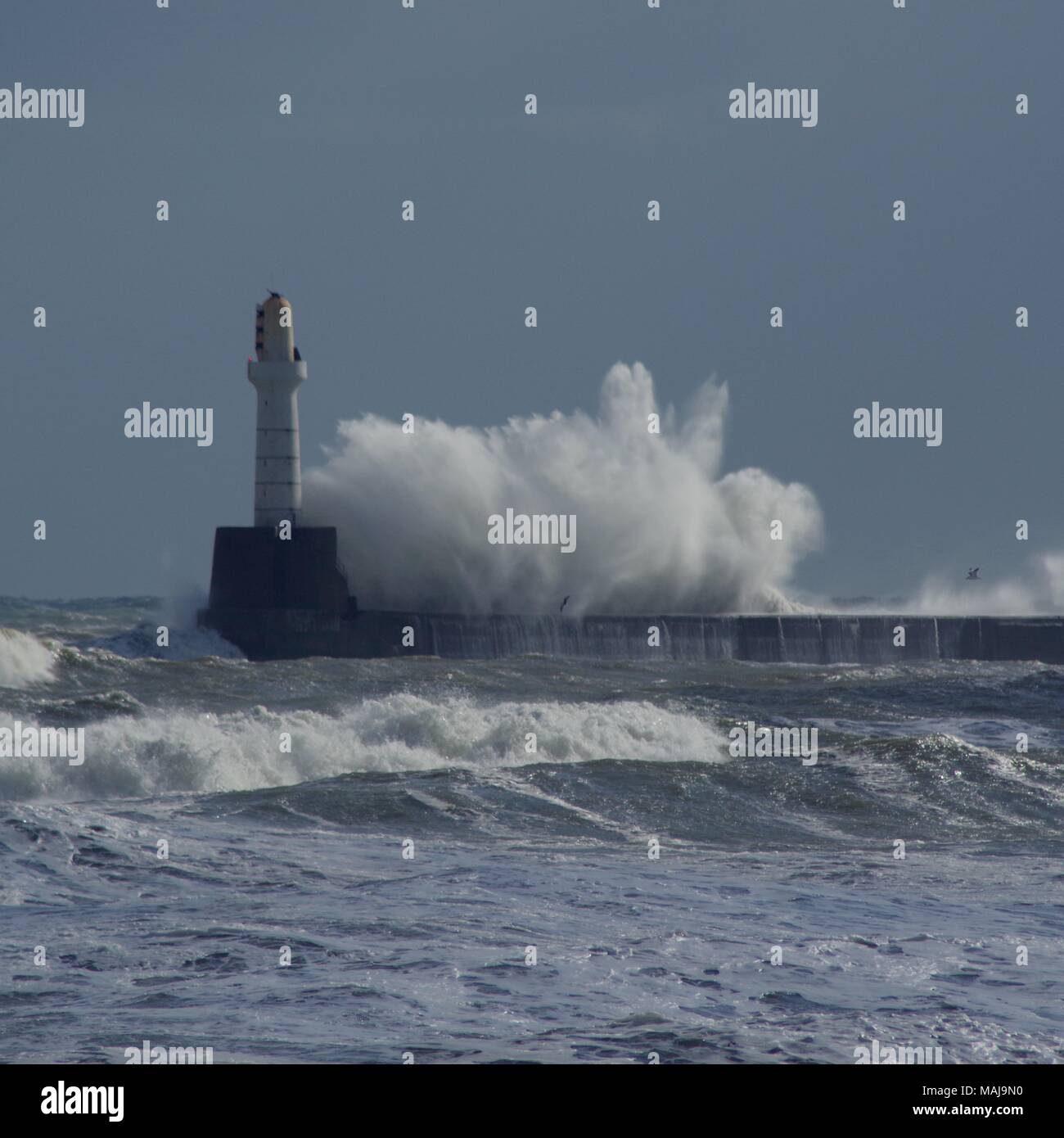Wild Winter North Sea Storm Waves Batter Aberdeen Harbour, Scotland, UK ...