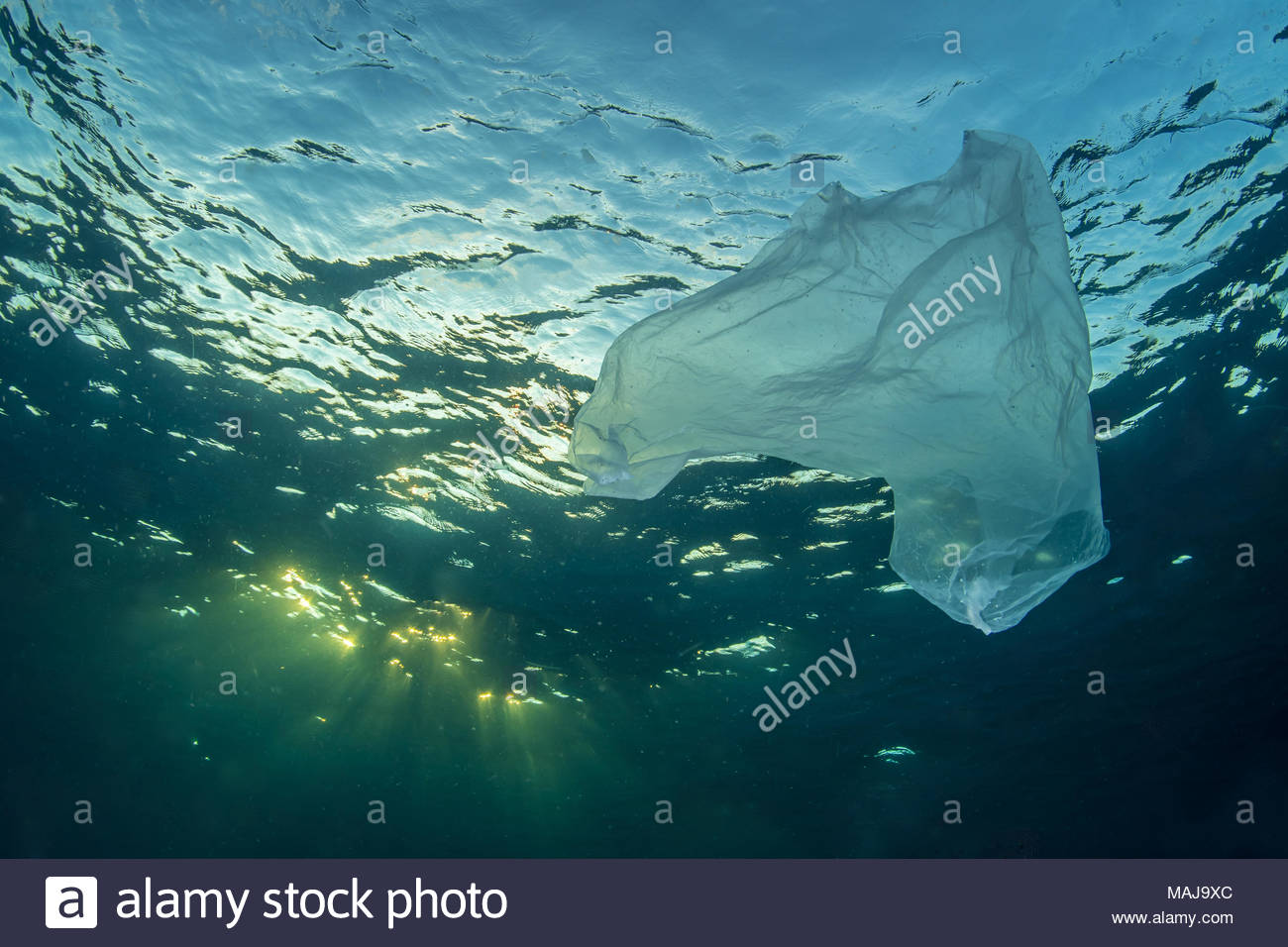 Underwater Garbage High Resolution Stock Photography and Images - Alamy
