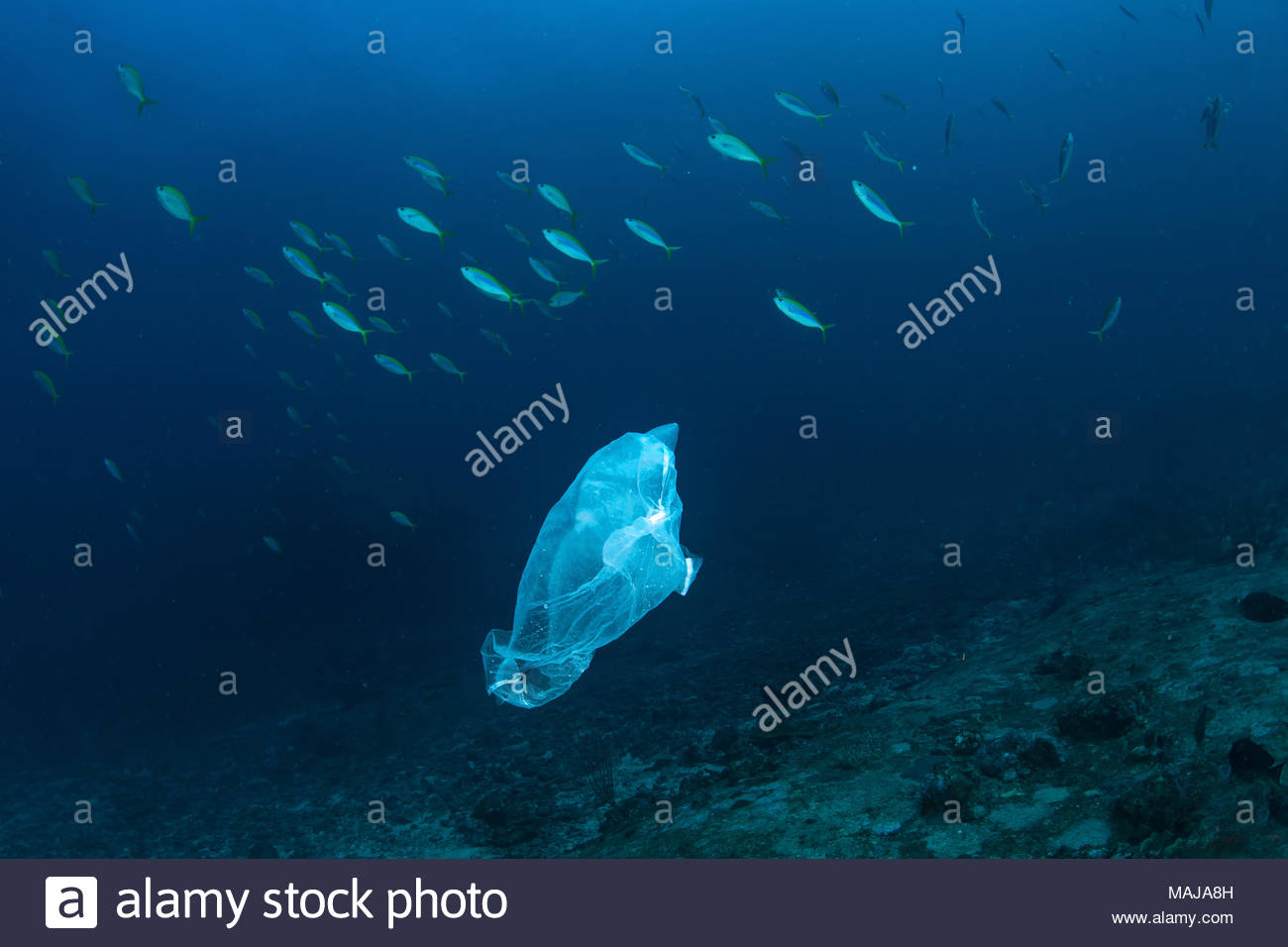 Underwater Garbage High Resolution Stock Photography and Images - Alamy