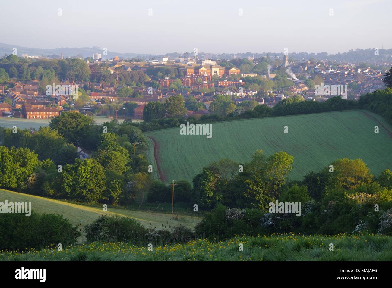 Spring Morning Farm Landscape, Ludwell Valley Park, Exeter, Devon, UK ...