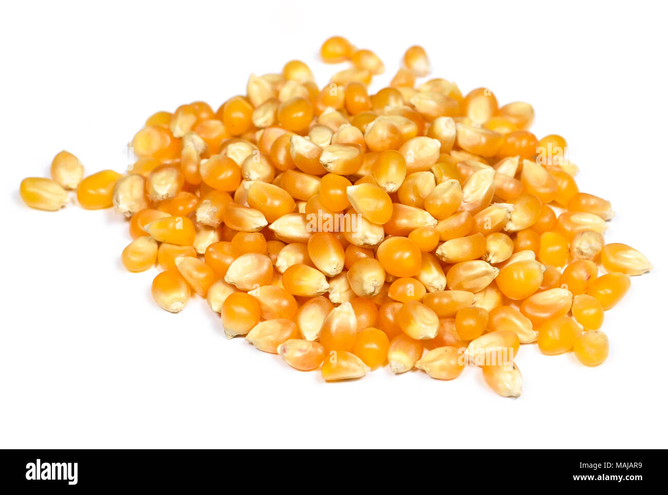 Dry corn, isolated on white background. Dried sweetcorn on a white ...
