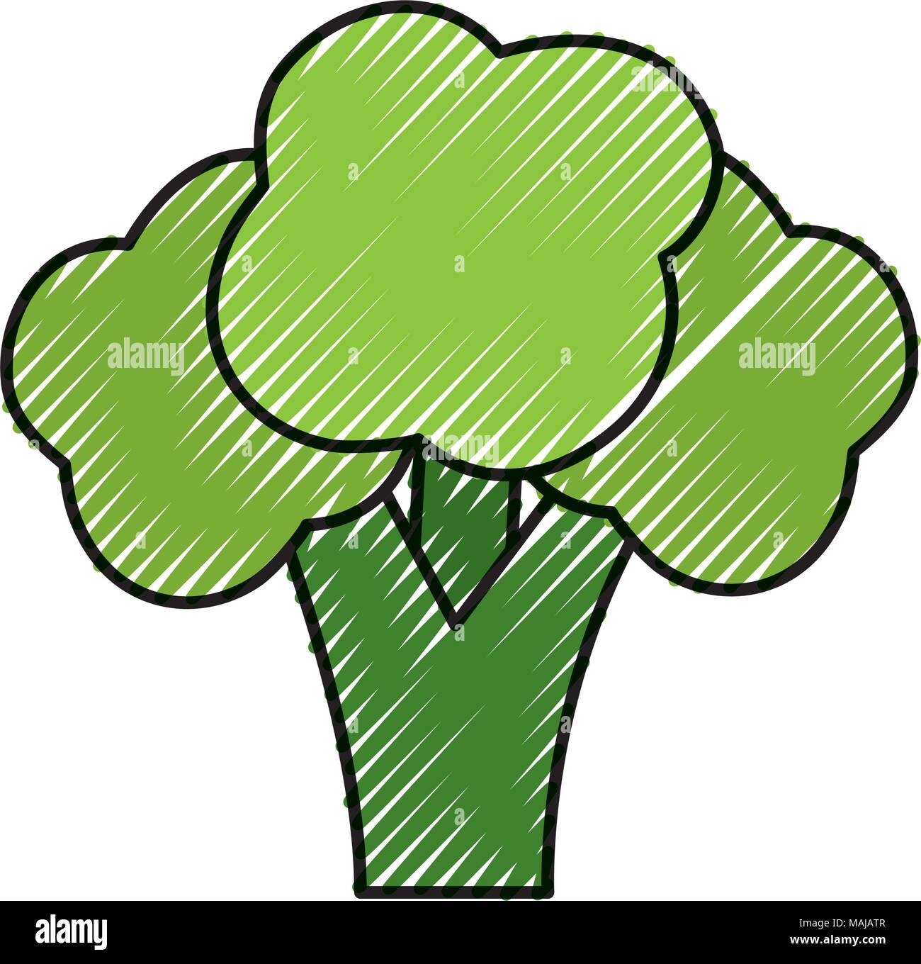 fresh broccoli vegetable healthy vector illustration design Stock ...
