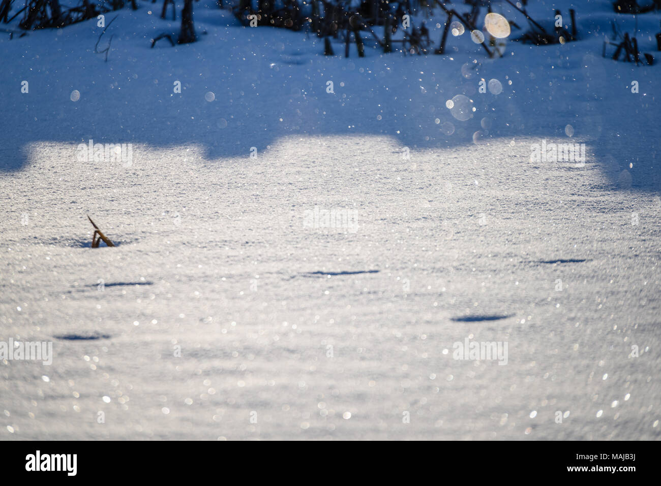 snow flakes falling in blizzard with white snow background with shadows ...