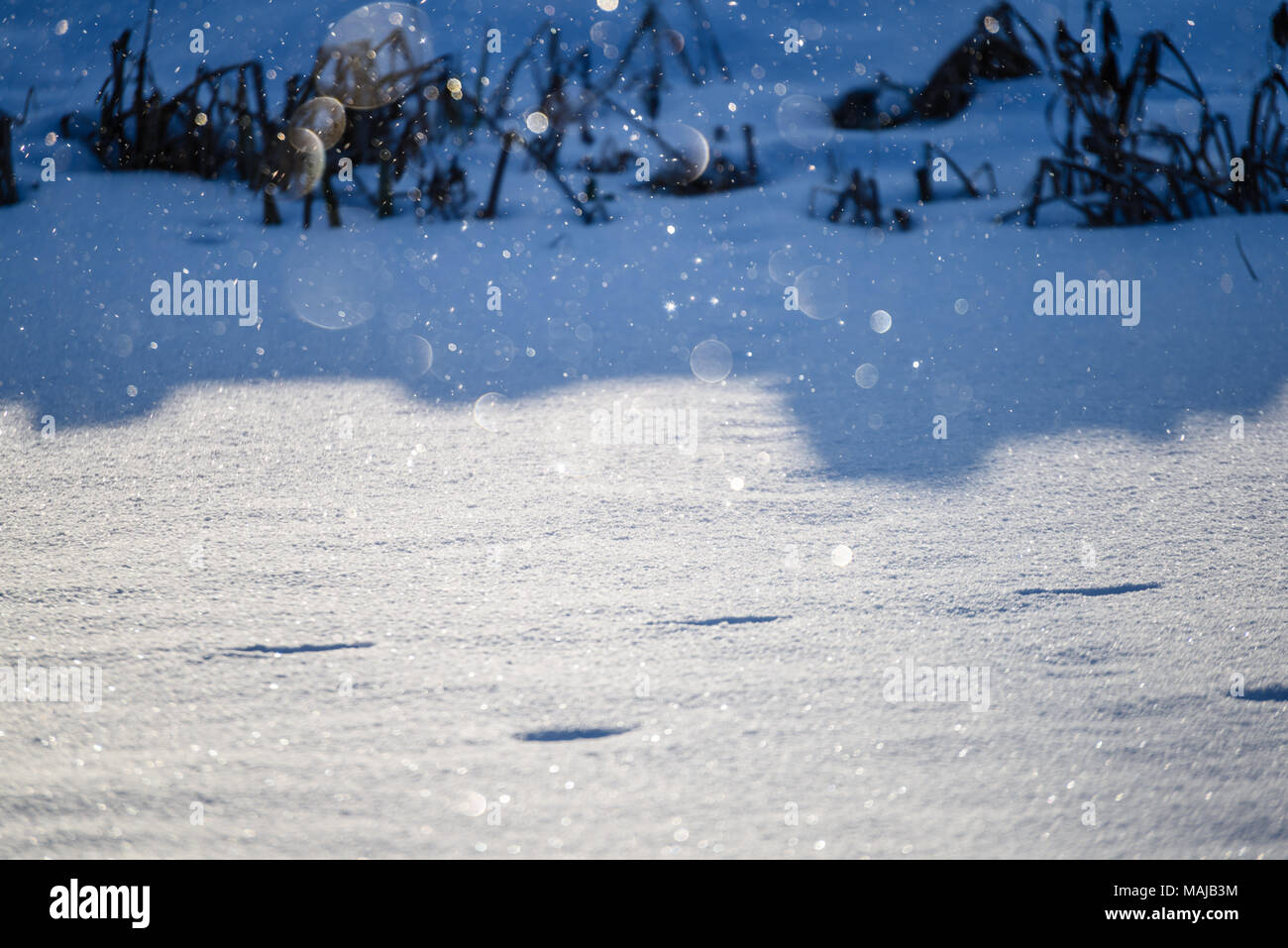 snow flakes falling in blizzard with white snow background with shadows ...