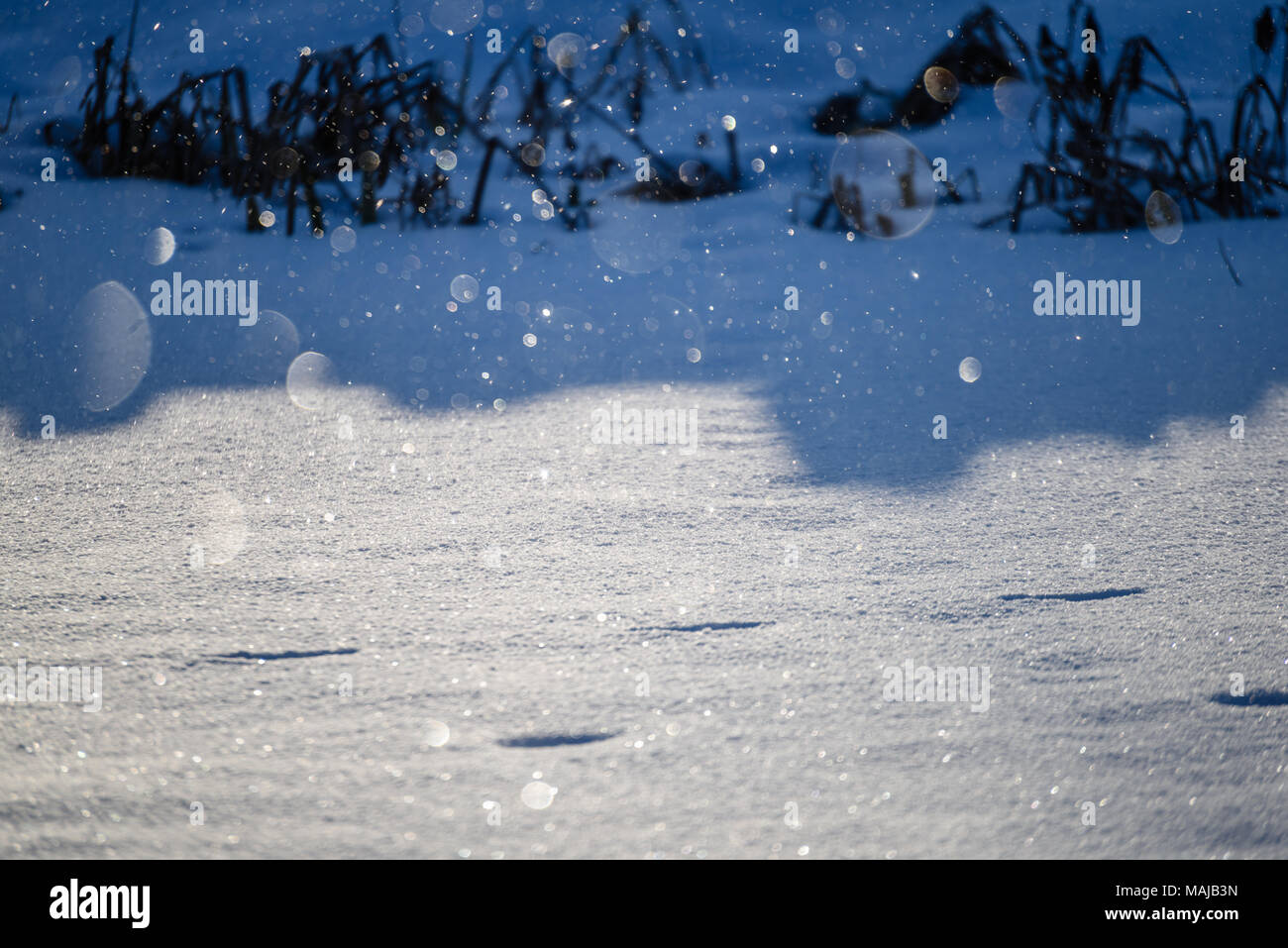 snow flakes falling in blizzard with white snow background with shadows ...
