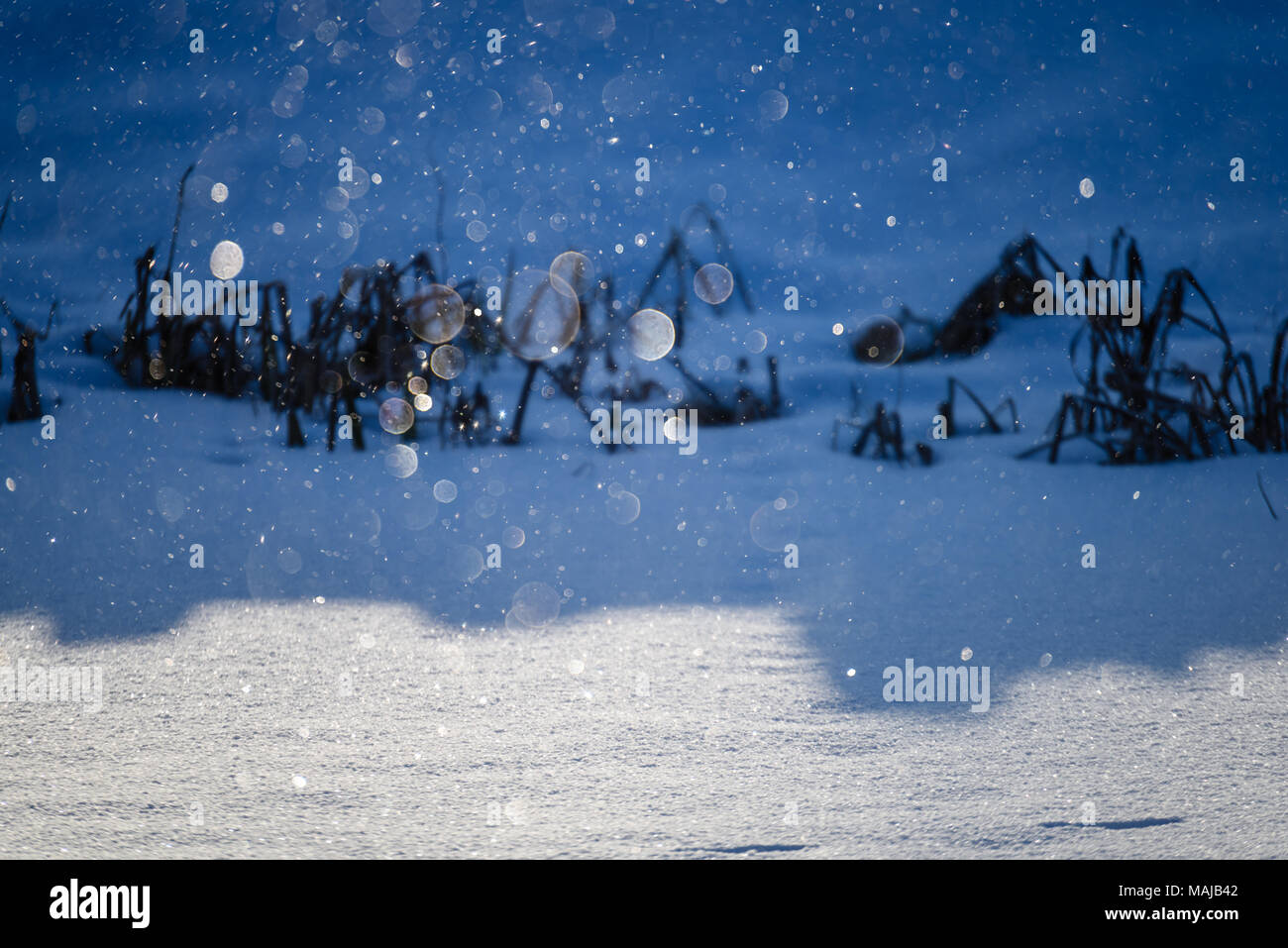 snow flakes falling in blizzard with white snow background with shadows ...