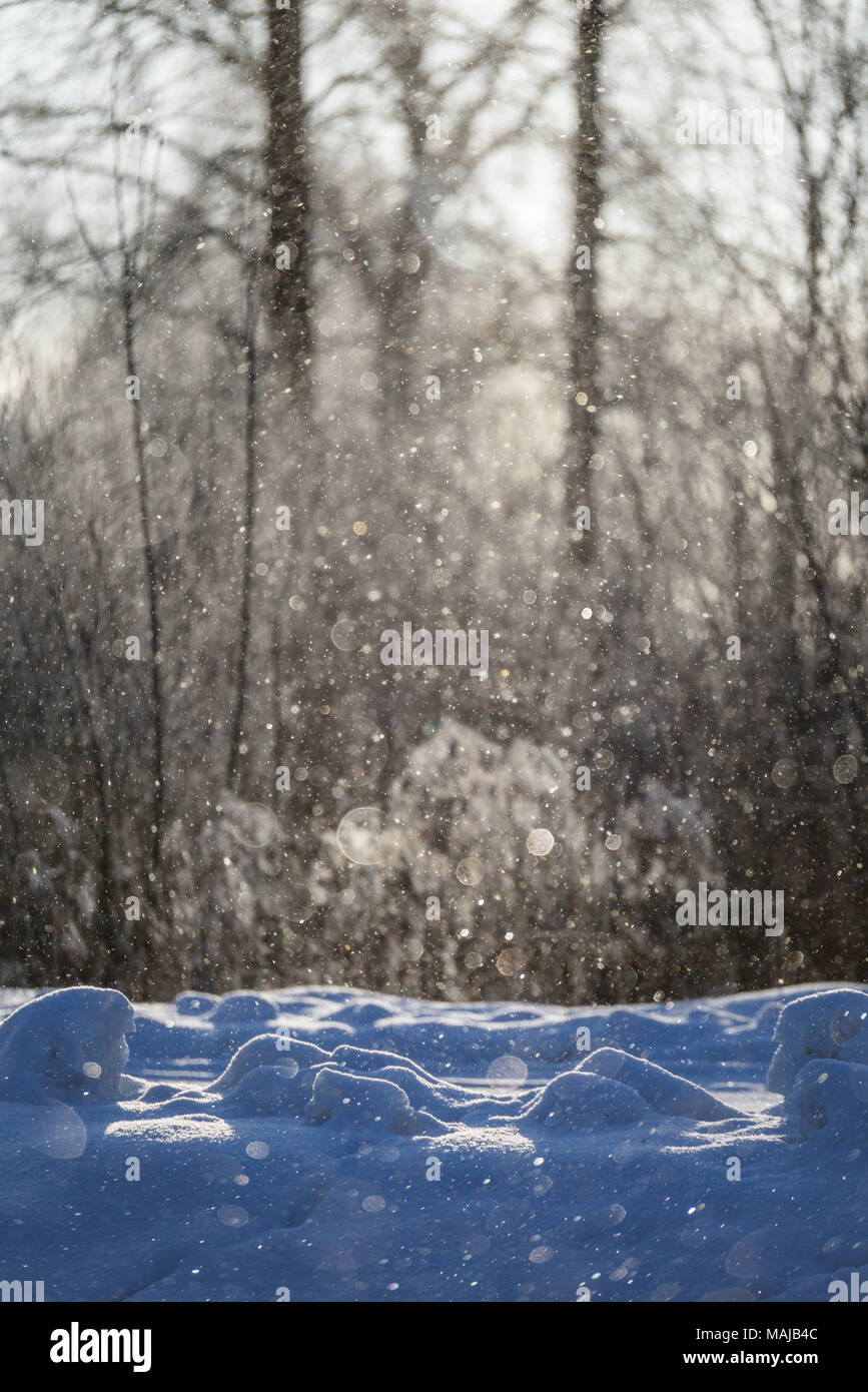 snow flakes falling in blizzard with white snow background with shadows ...