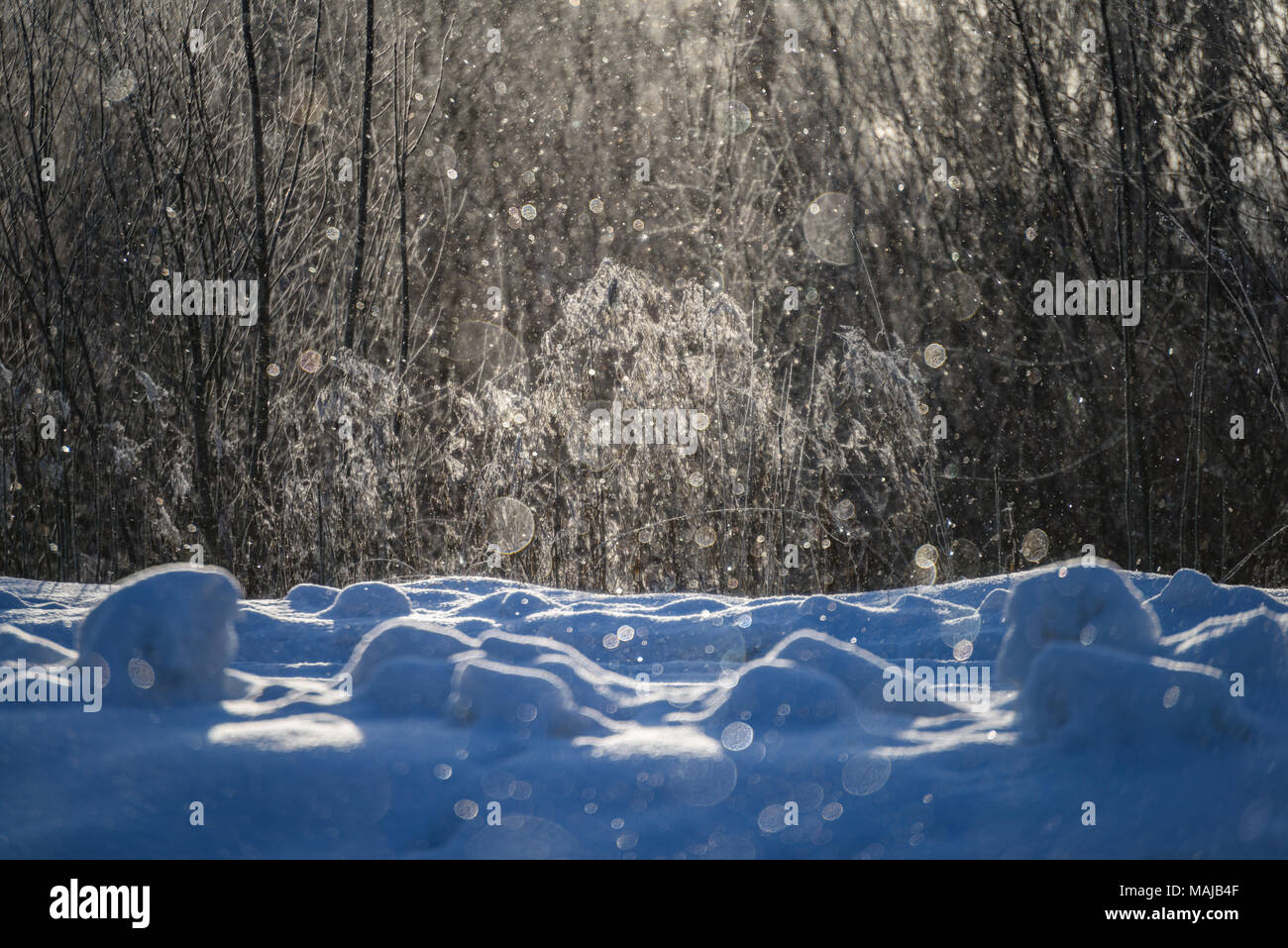 snow flakes falling in blizzard with white snow background with shadows ...