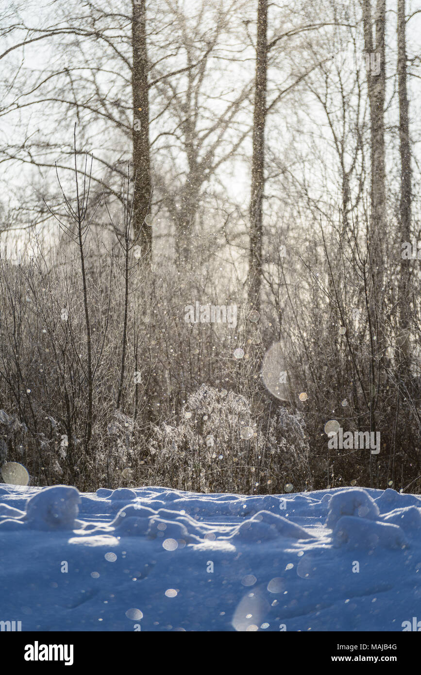 snow flakes falling in blizzard with white snow background with shadows ...