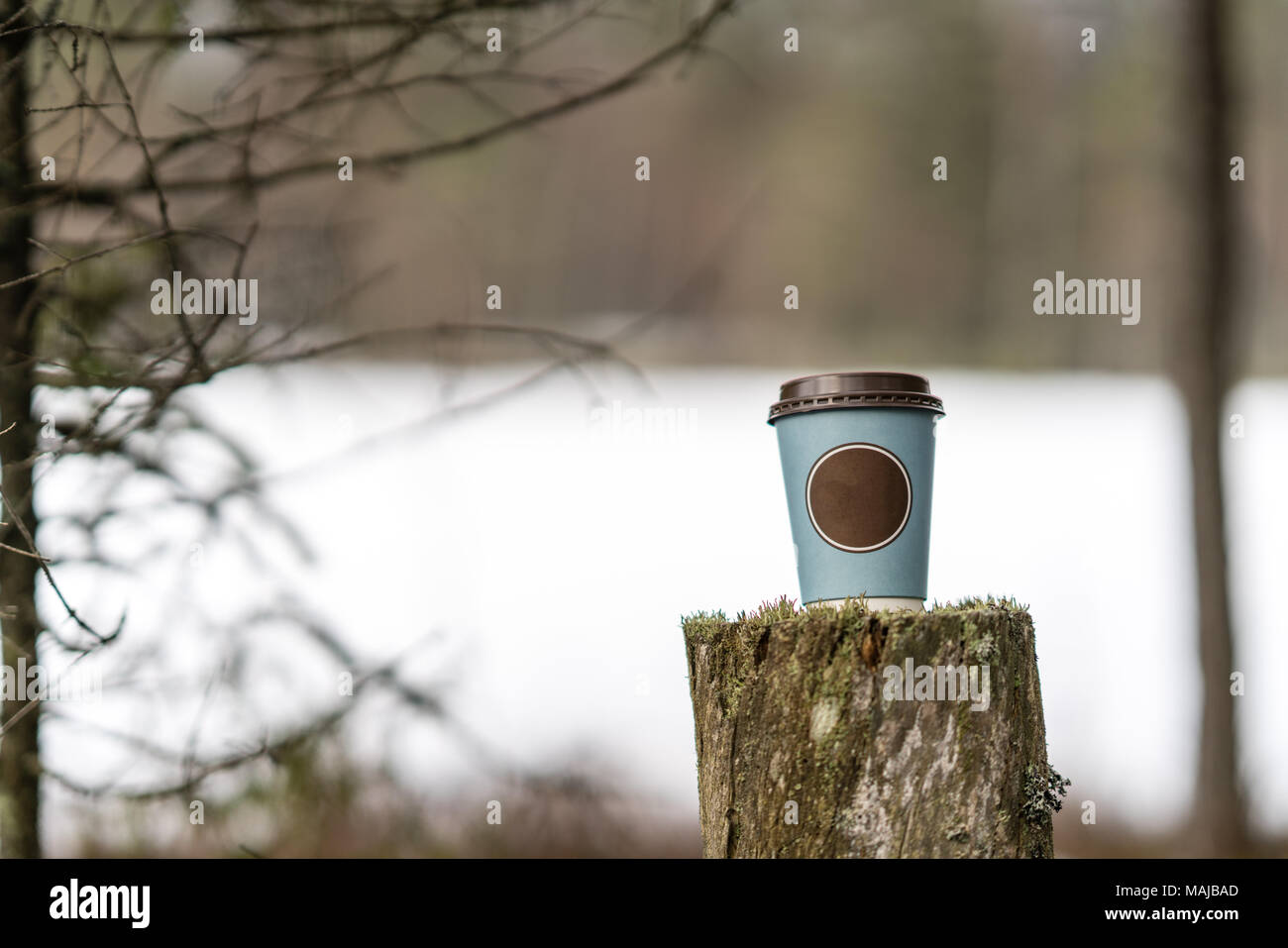 coffee cup on the old tree truunk in forest in winter. cold and ...