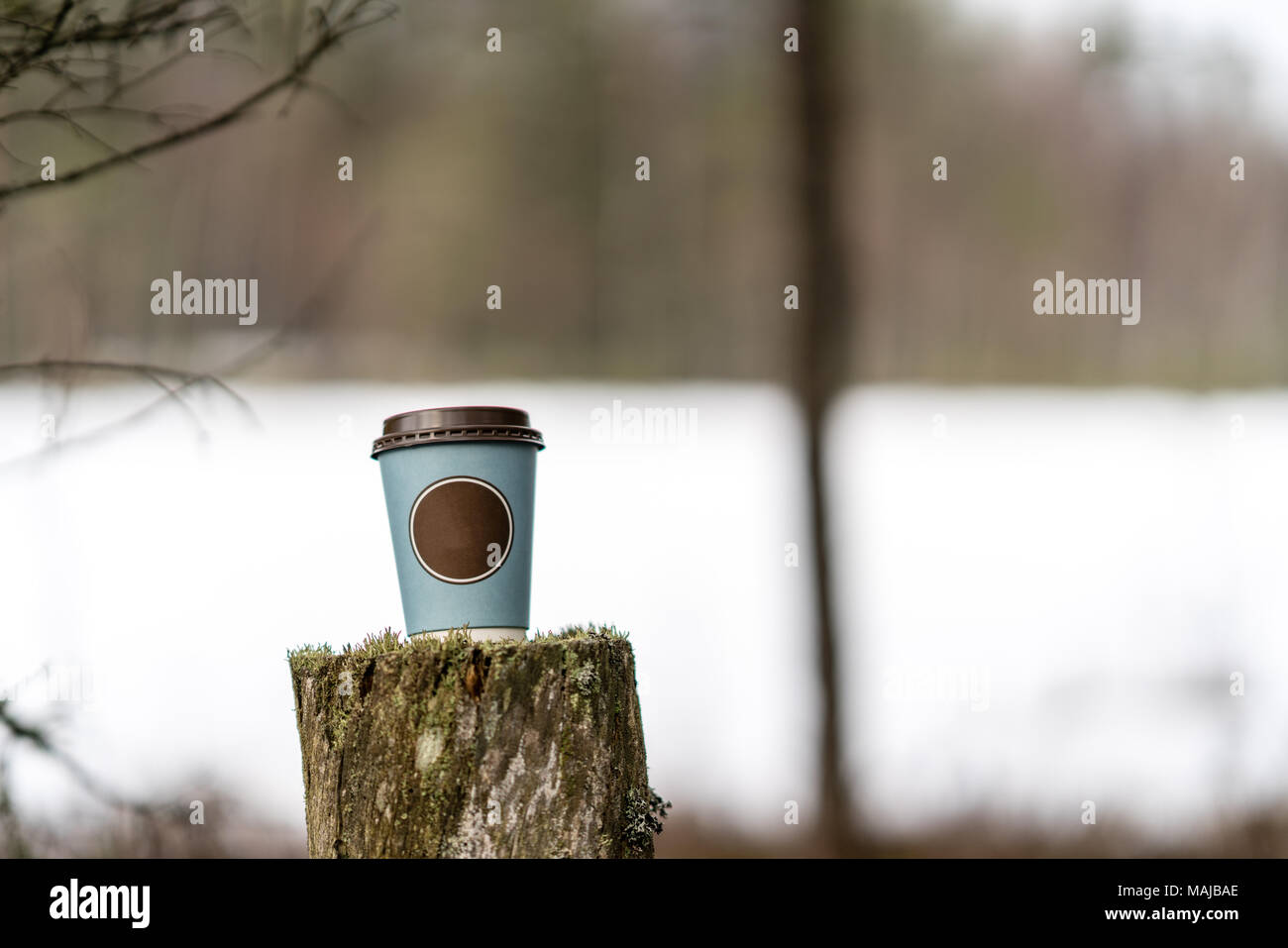 Black Country Urban Forest High Resolution Stock Photography and Images ...
