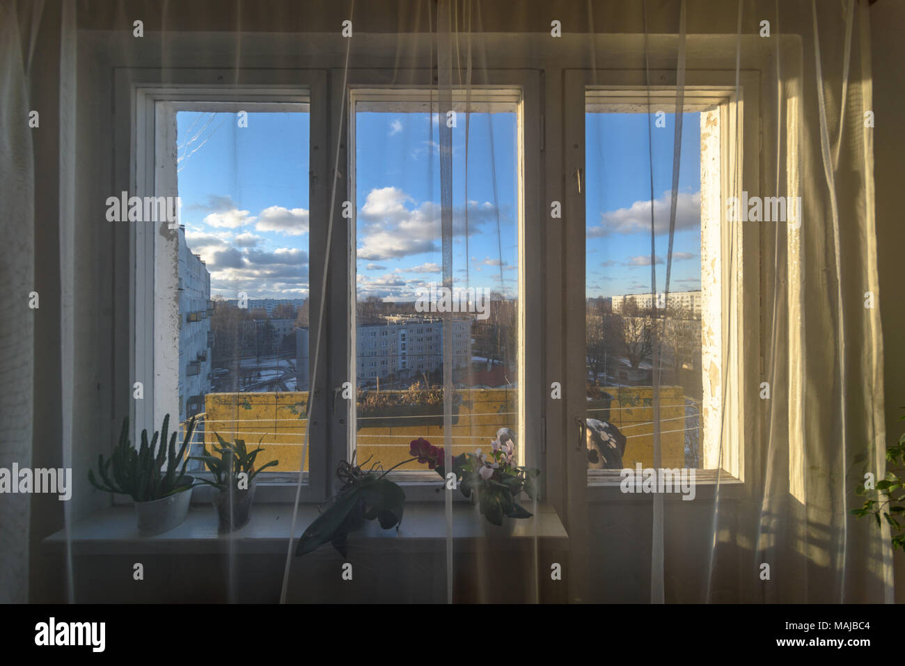 three part window in a room view by wide angle lens in perspective with ...