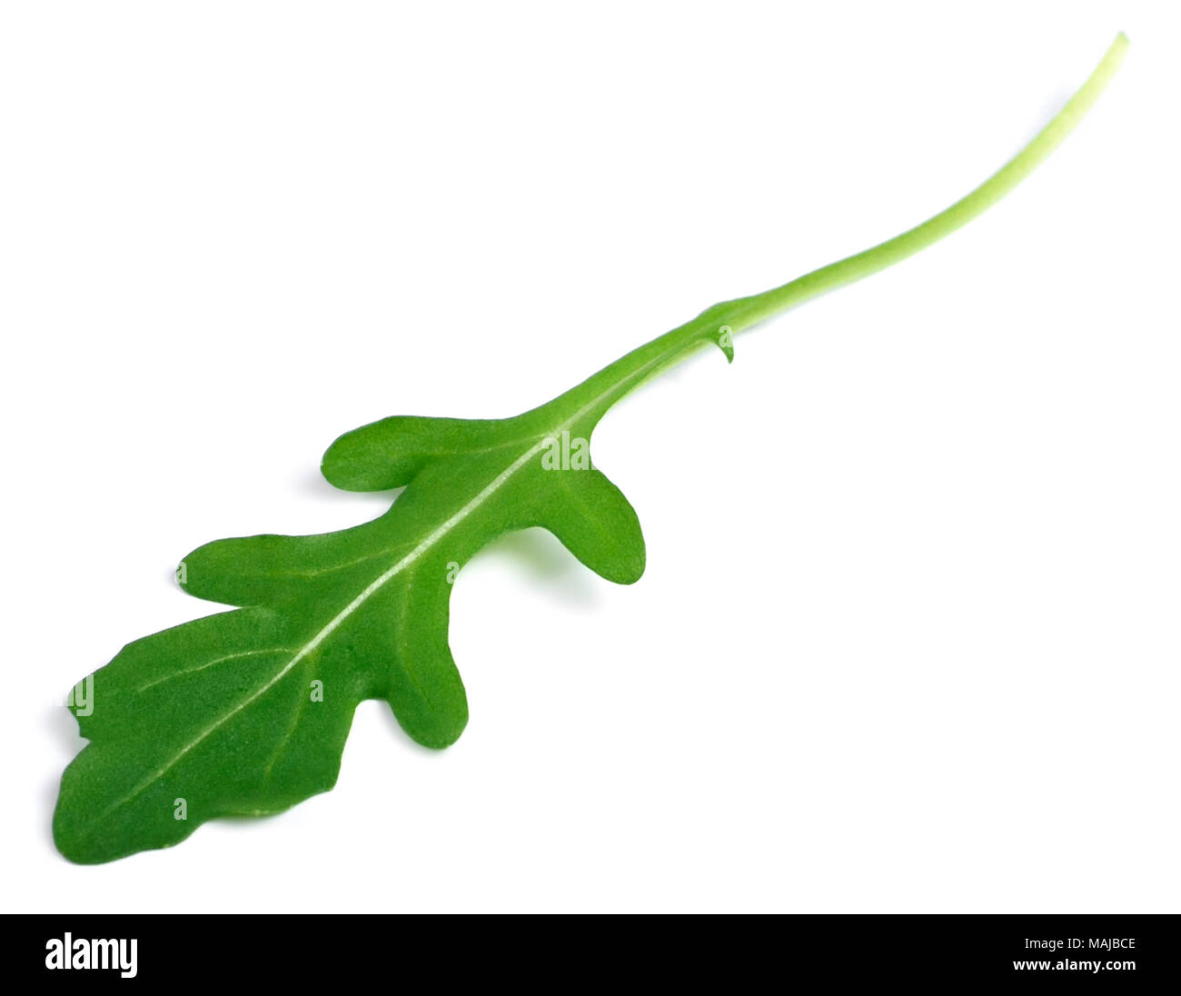 Rocket leaves hi-res stock photography and images - Alamy