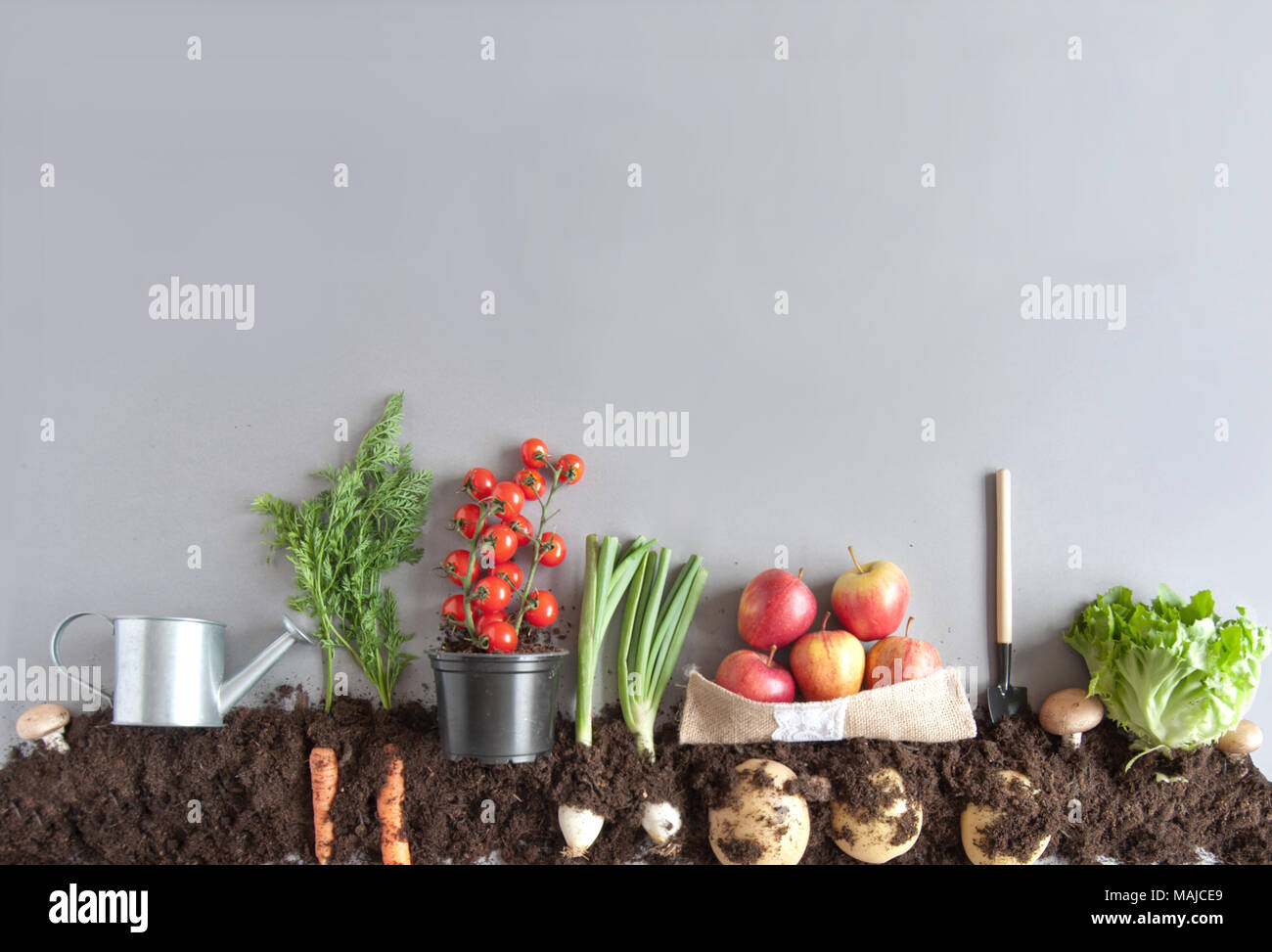 Fruits and vegetables growing in compost including carrots, mushrooms ...
