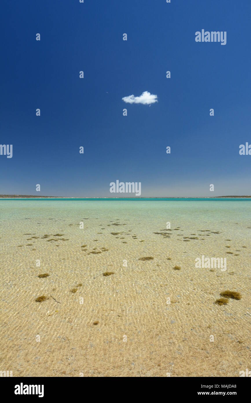 Little lagoon. Denham. Shark Bay. Western Australia Stock Photo - Alamy