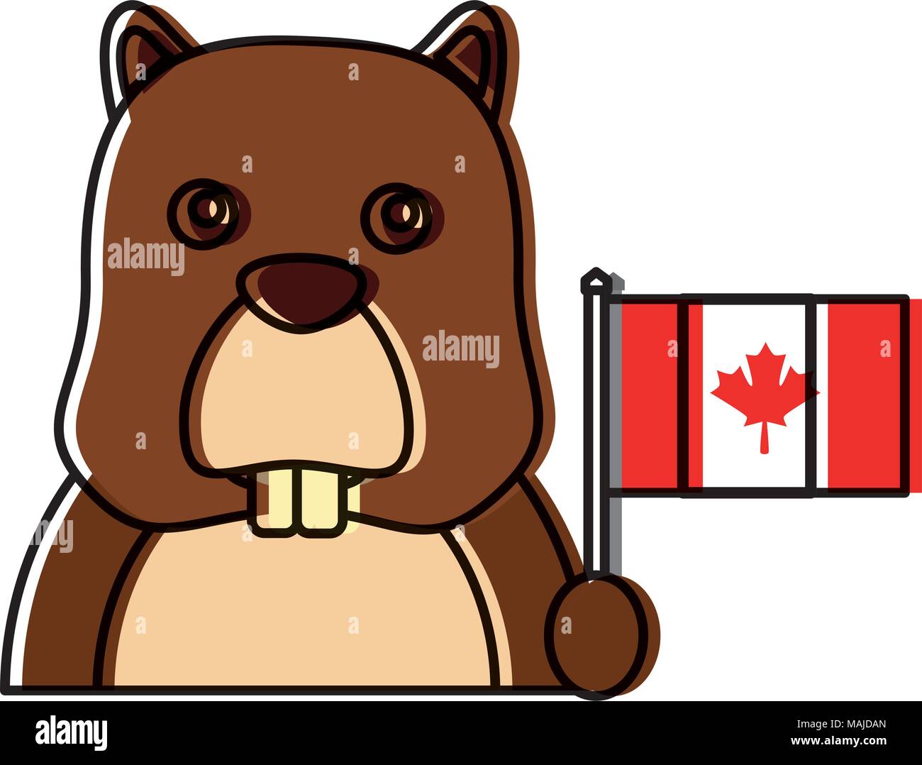 beaver with canadian flag vector illustration design Stock Vector Image ...