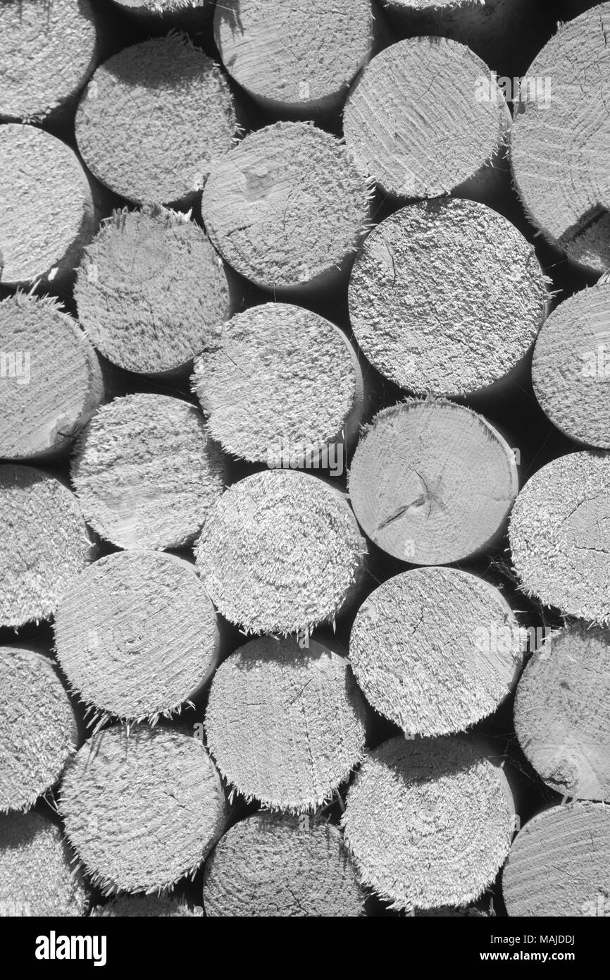 Wooden logs texture Black and White Stock Photos & Images - Alamy