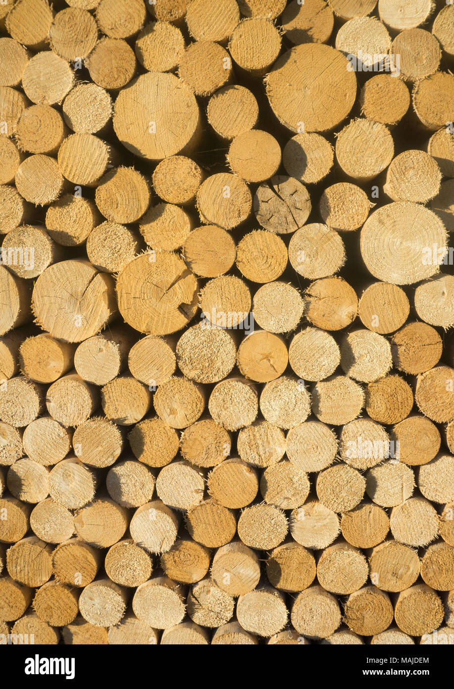 Texture of wooden logs for designs, pattern for backgrounds Stock Photo ...