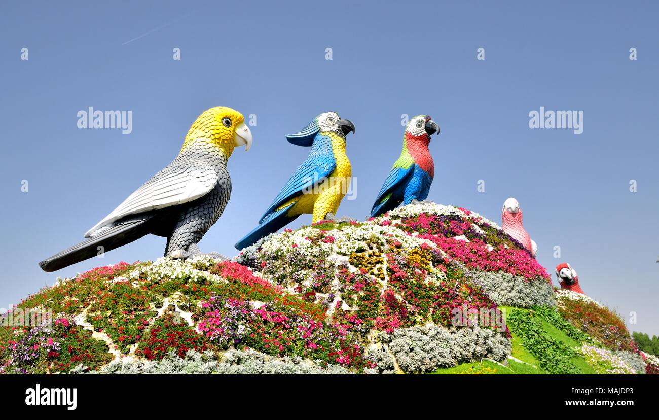 Dubai, UAE - January 2017:Parrots in the Dubai Miracle garden Stock ...