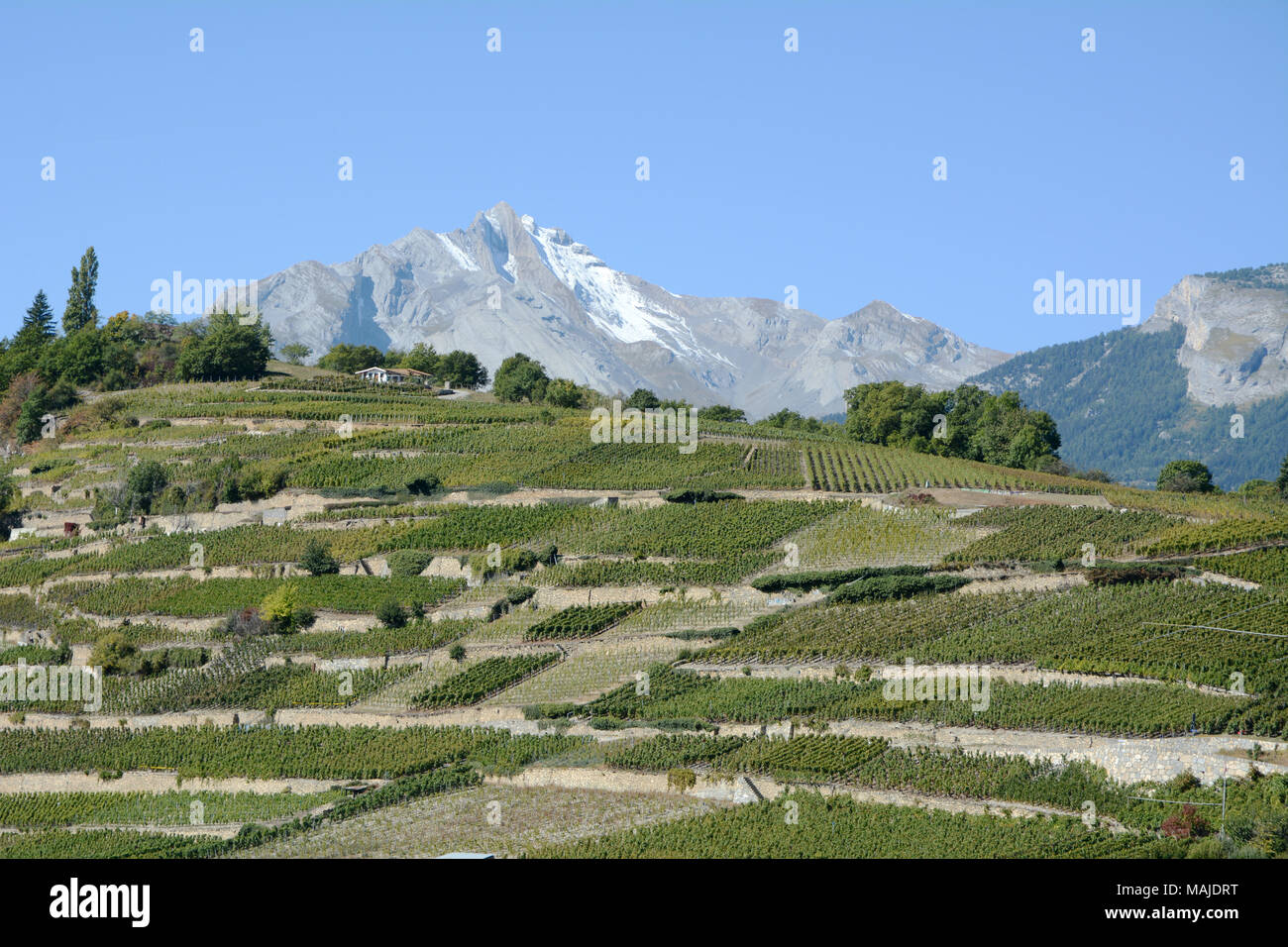 Valais switzerland vineyards hi-res stock photography and images - Alamy