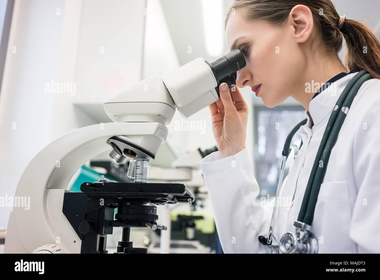 Doctor or biologist scrutinizing tissue under microscope Stock Photo ...