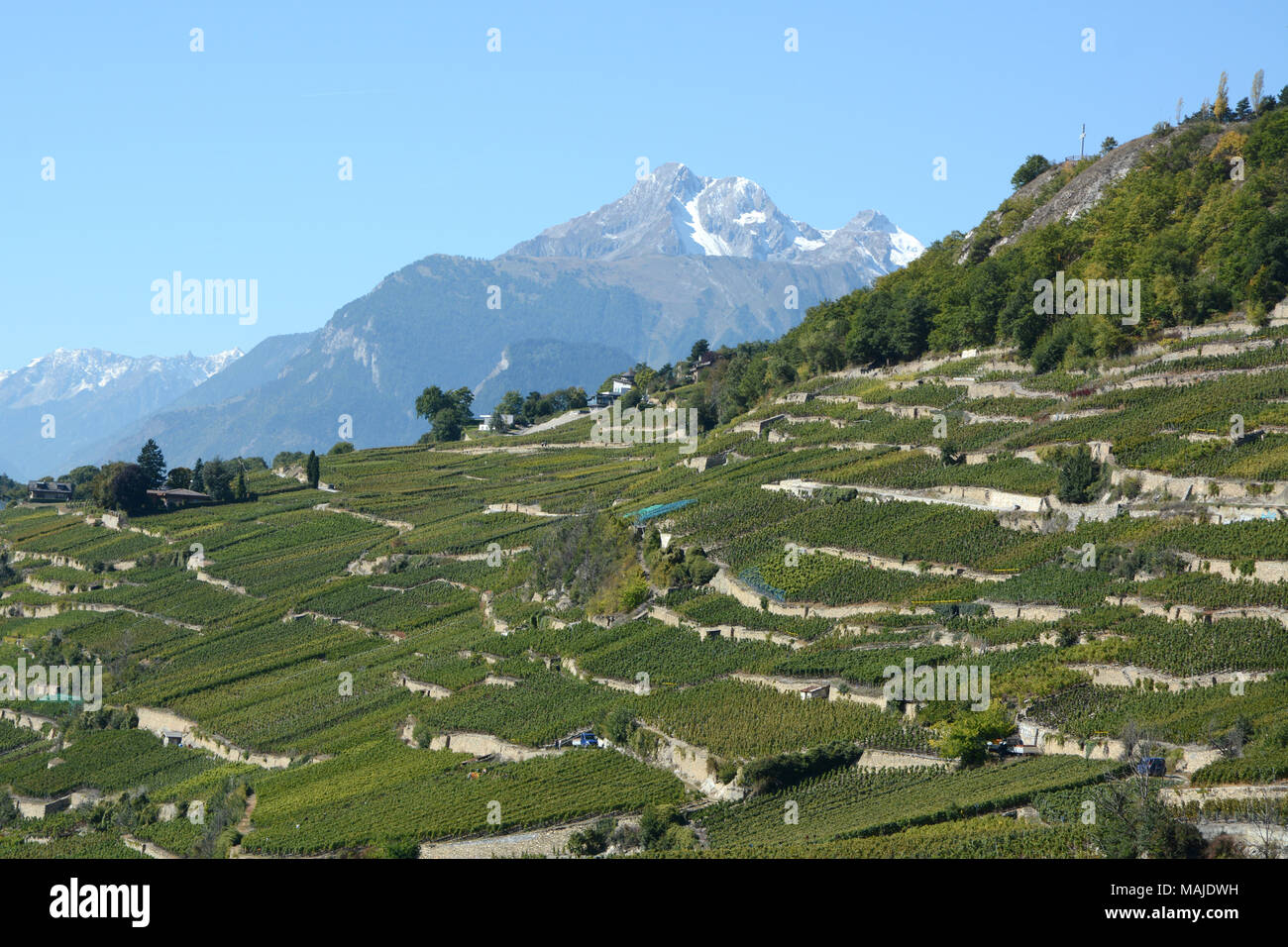 Terraced hills switzerland hi-res stock photography and images - Alamy