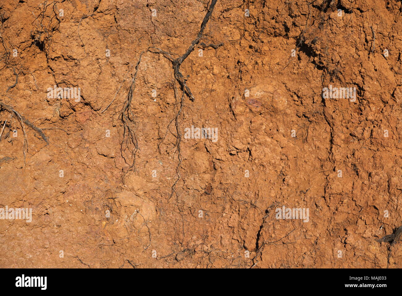 Root of mountain hi-res stock photography and images - Alamy