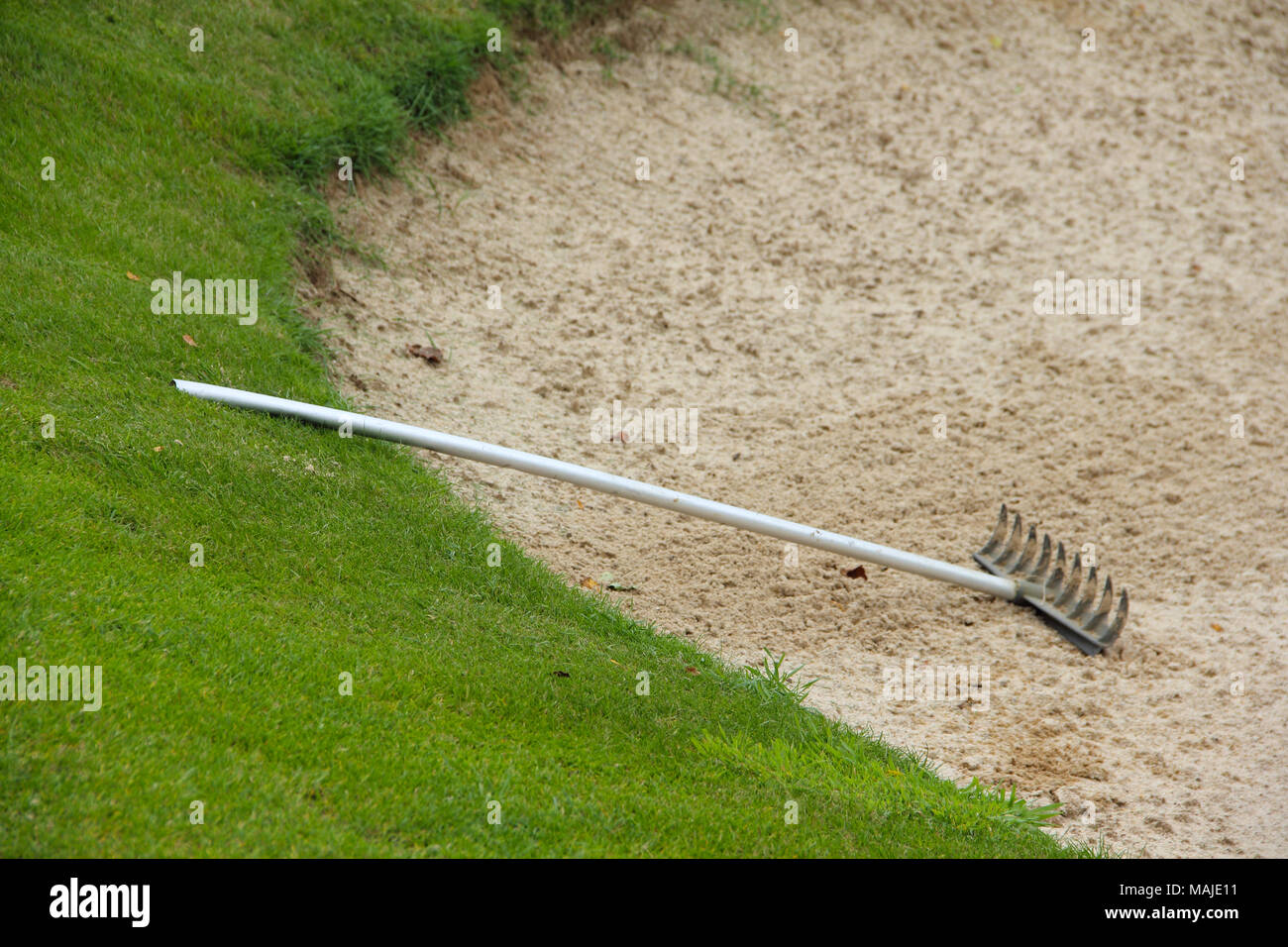 Rake in golf sand bunker on the border with green grass Stock Photo - Alamy