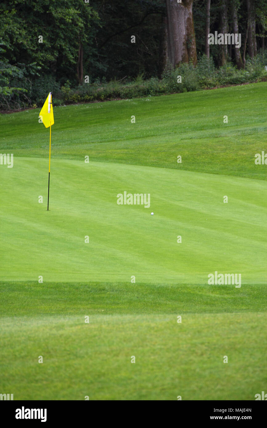 Golf flag on the green grass field close up Stock Photo - Alamy