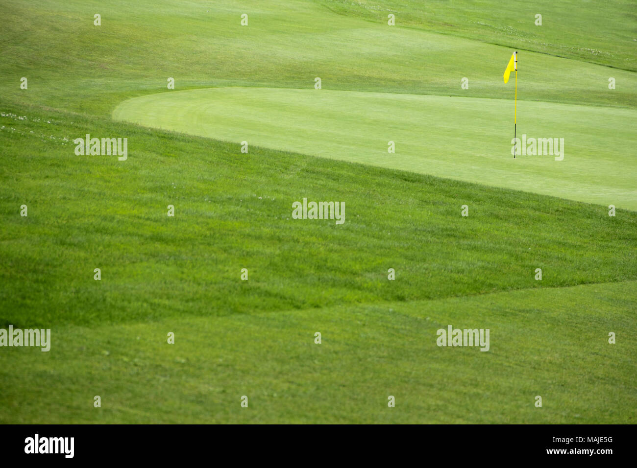 Golf flag on the green grass field close up Stock Photo - Alamy