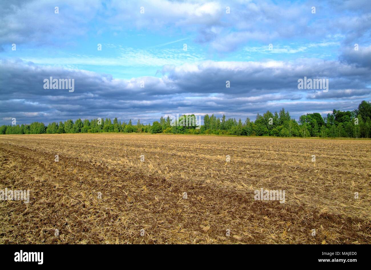 Sloping field in autumn in Russia, Tula region Stock Photo - Alamy