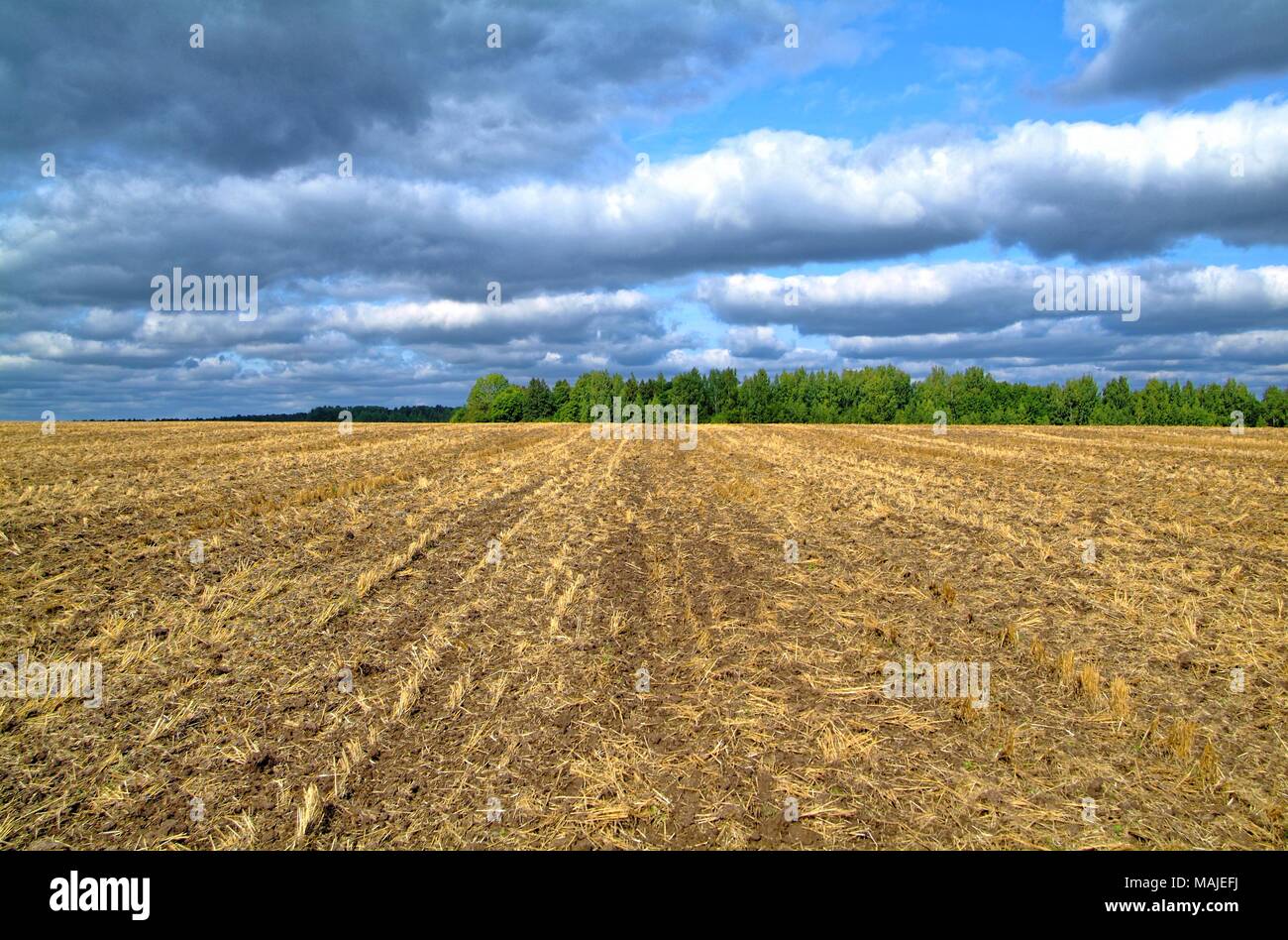 Sloping field in autumn in Russia, Tula region Stock Photo - Alamy