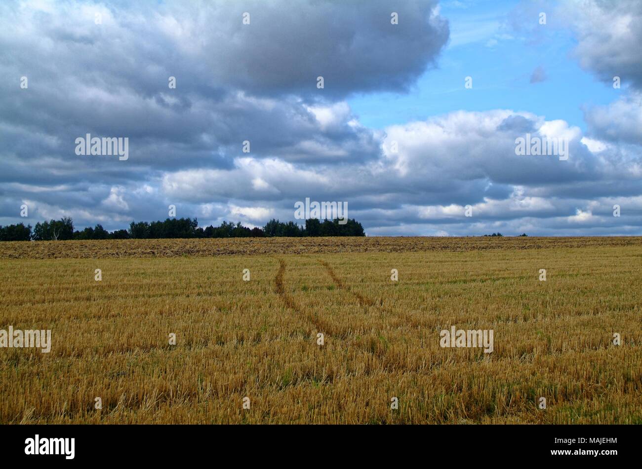 Sloping field in autumn in Russia, Tula region Stock Photo - Alamy