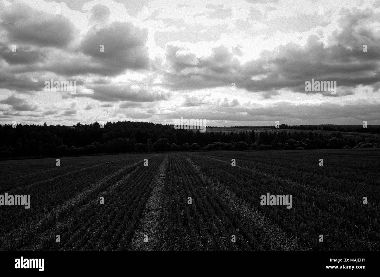 Sloping field in autumn in Russia, Tula region Stock Photo - Alamy