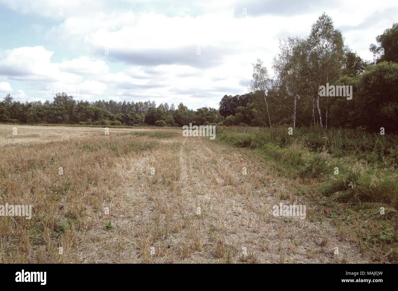 Sloping field in autumn in Russia, Tula region Stock Photo - Alamy