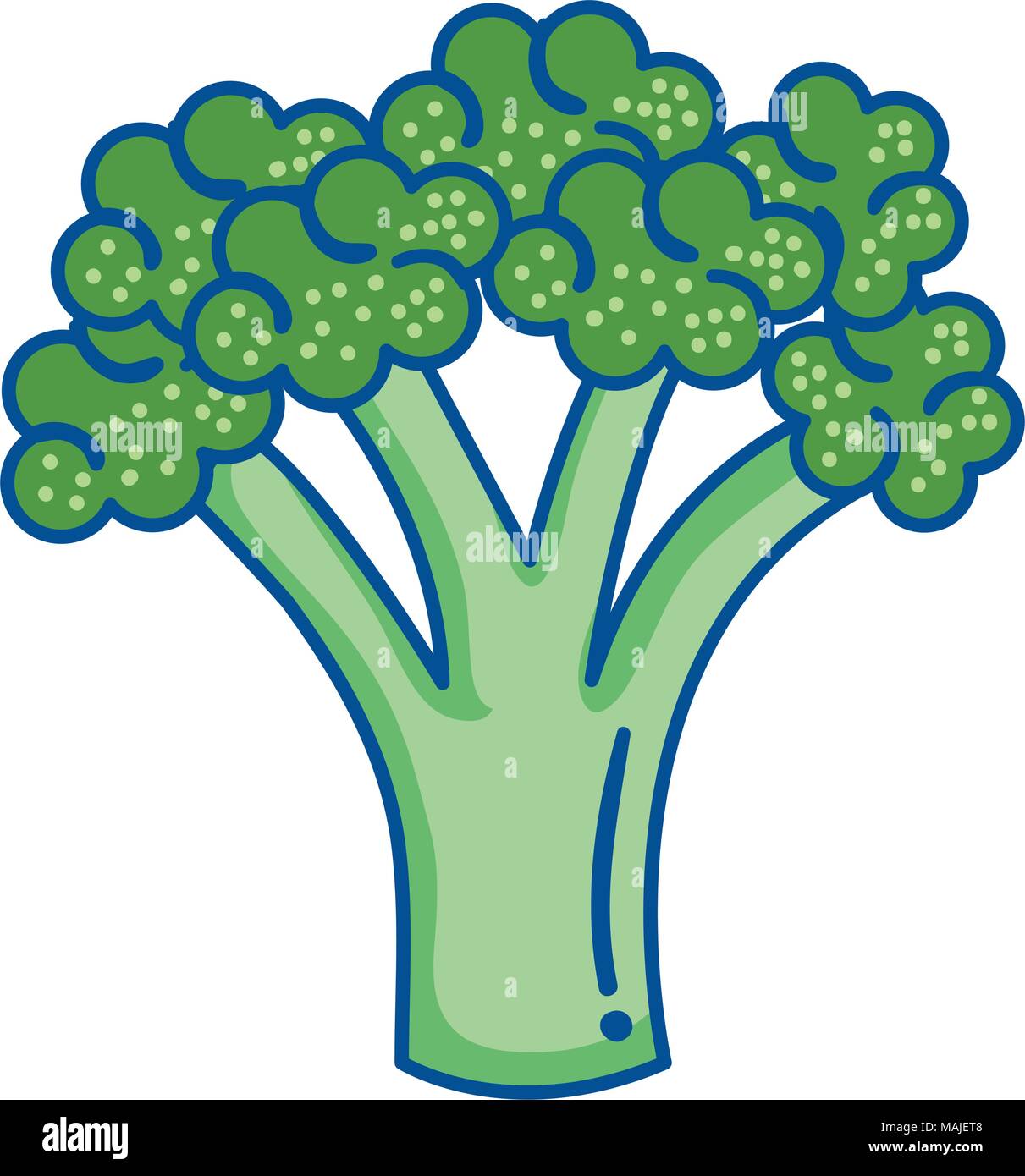 broccoli vegetable healthy food vector illustration design Stock Vector ...