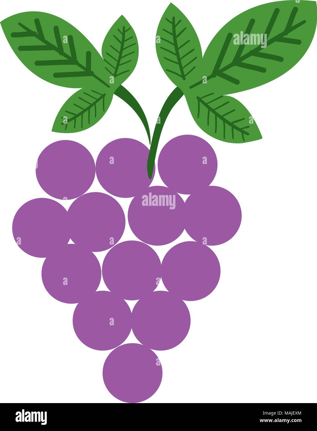 grapes fresh fruit icon vector illustration design Stock Vector Image ...