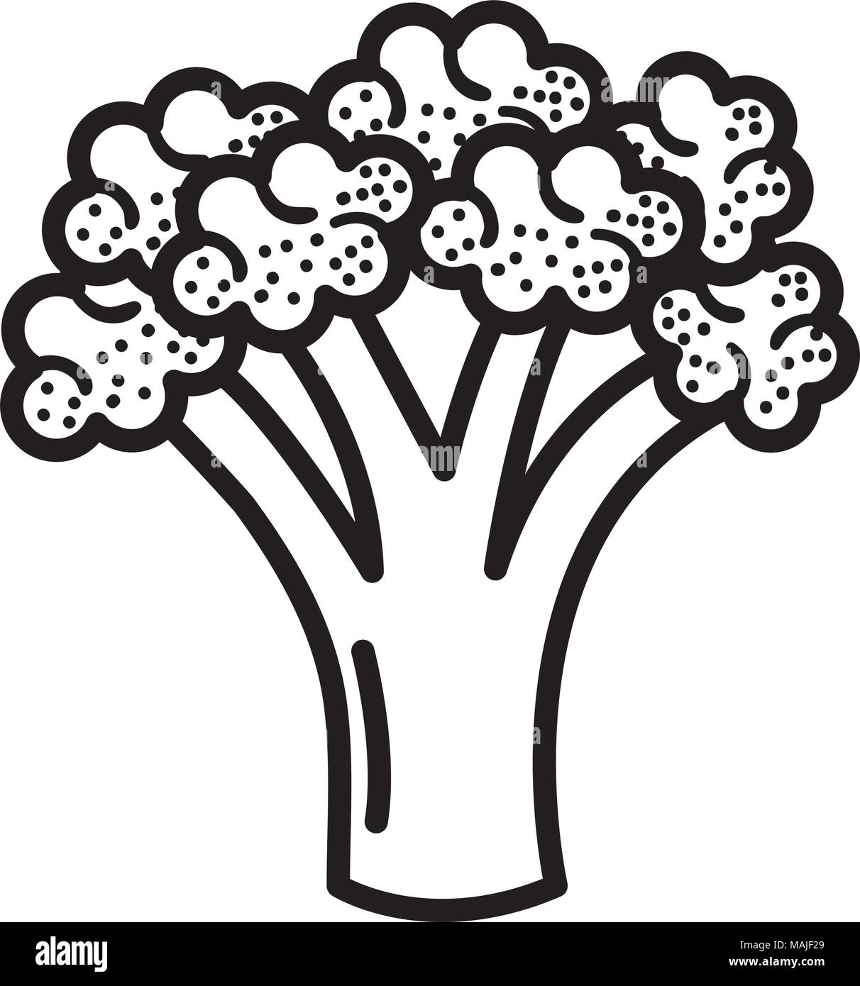 broccoli vegetable healthy food vector illustration design Stock Vector ...